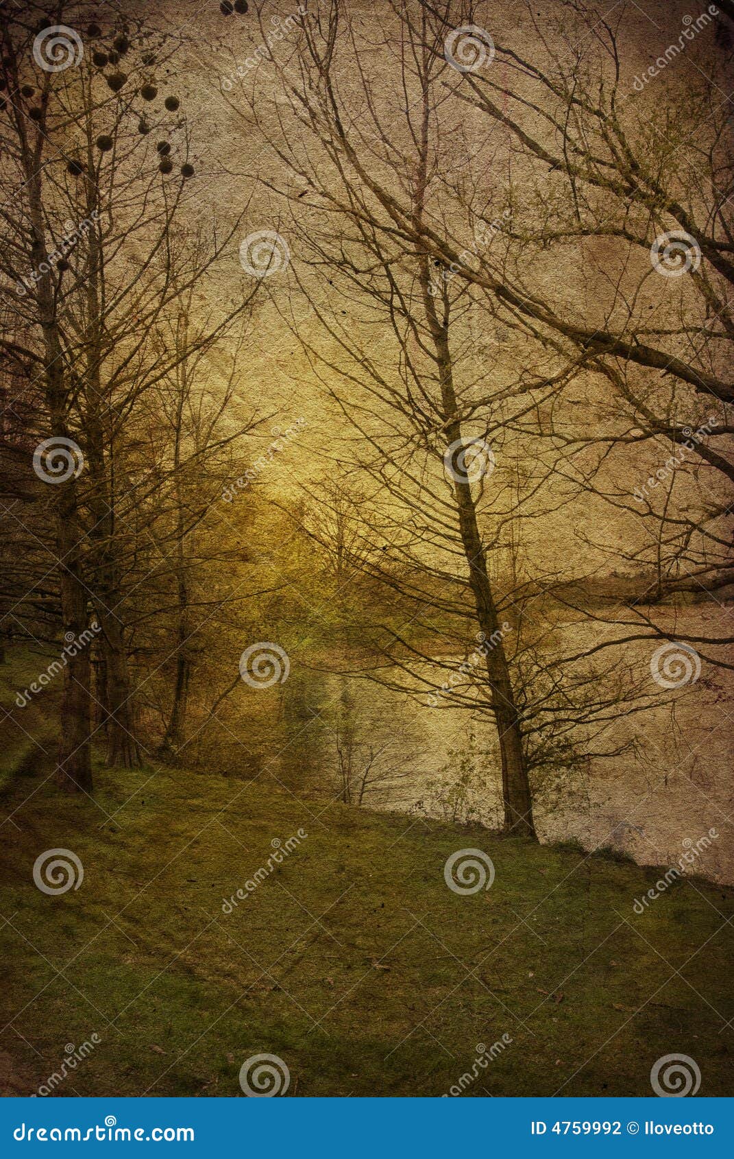 Old-fashioned landscape stock photo. Image of antique - 4759992