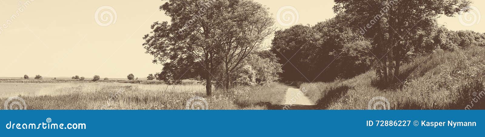 Old-fashioned Panorama Landscape with a Trail Stock Image - Image of ...
