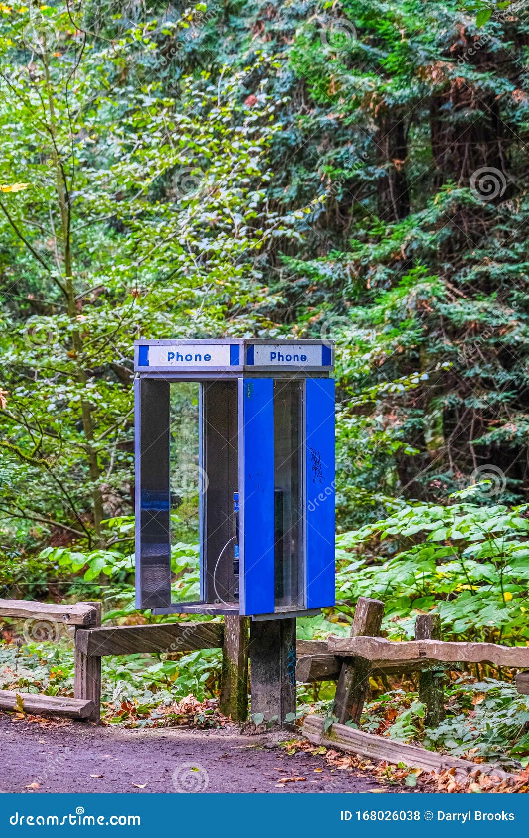 Phone Booth in the Woods stock photo. Image of call - 168026038