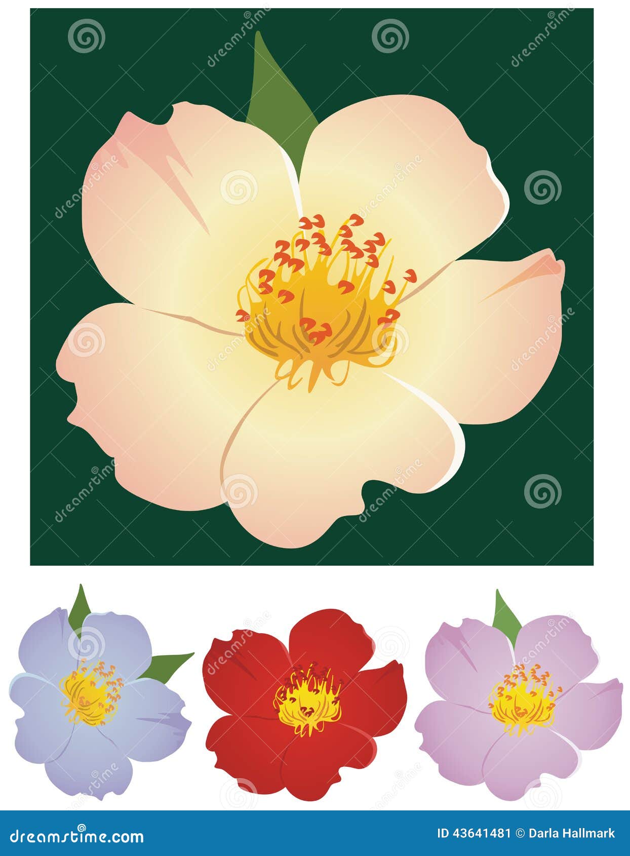 Simplex Rose Stock Illustrations – 2 Simplex Rose Stock Illustrations ...