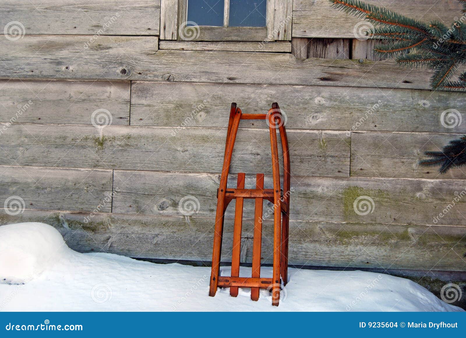 Old-Fashioned Sled stock photo. Image of rural, pine, drab - 9235604