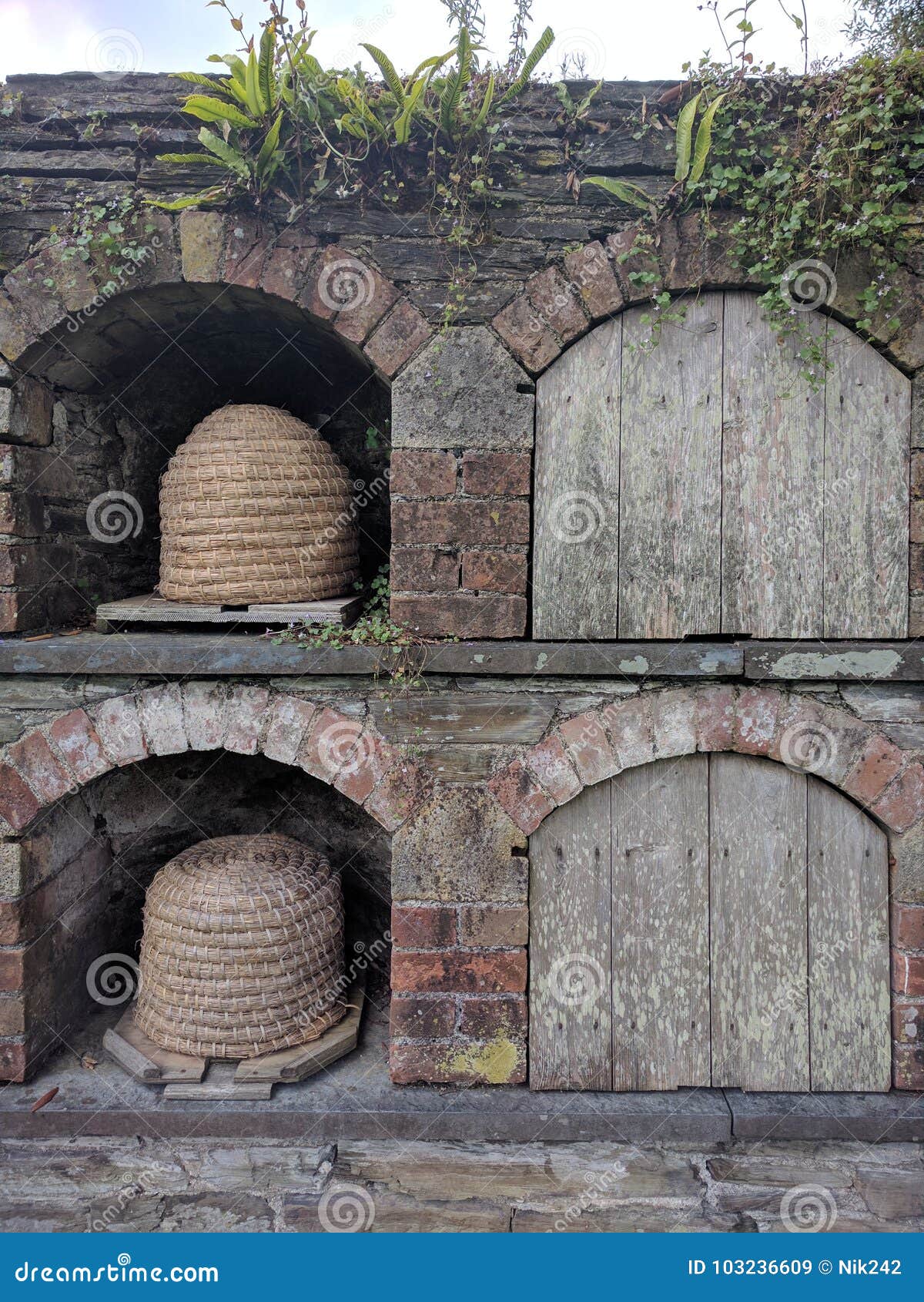 Historic bee keeping stock image. Image of beehive, historic - 103236609