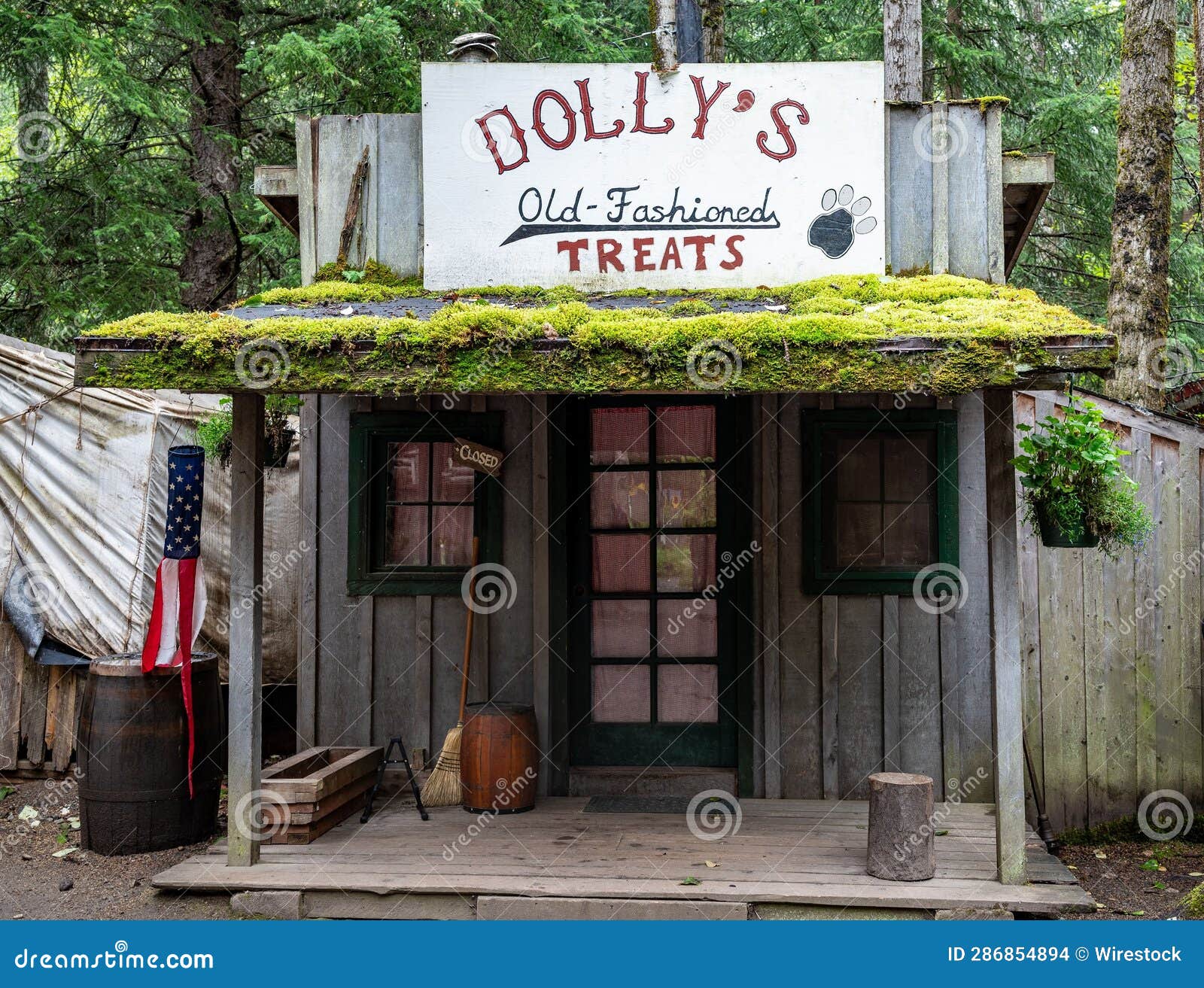 Old-fashioned Store Located in a Remote Area Surrounded by Trees ...