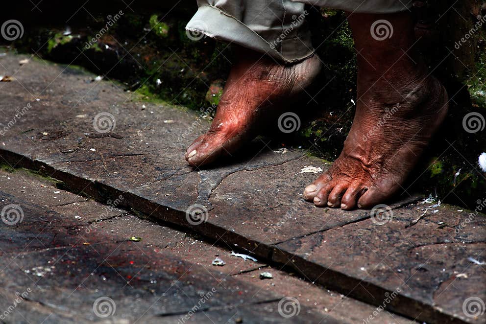 Old feet stock image. Image of people, foot, feet, adults - 16792013