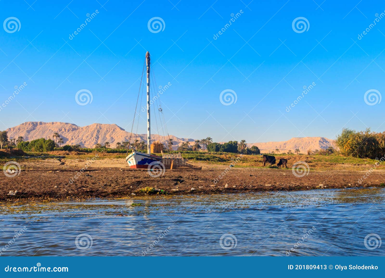 Old Felucca Boat Ashore of Nile River in Egypt Stock Image - Image of ...
