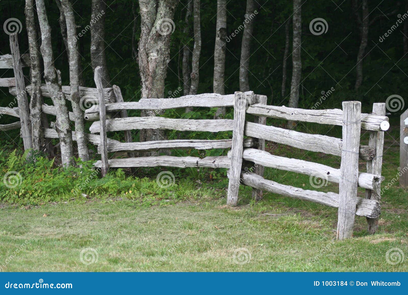 Old fence stock photo. Image of trees, bushes, grain, nature - 1003184