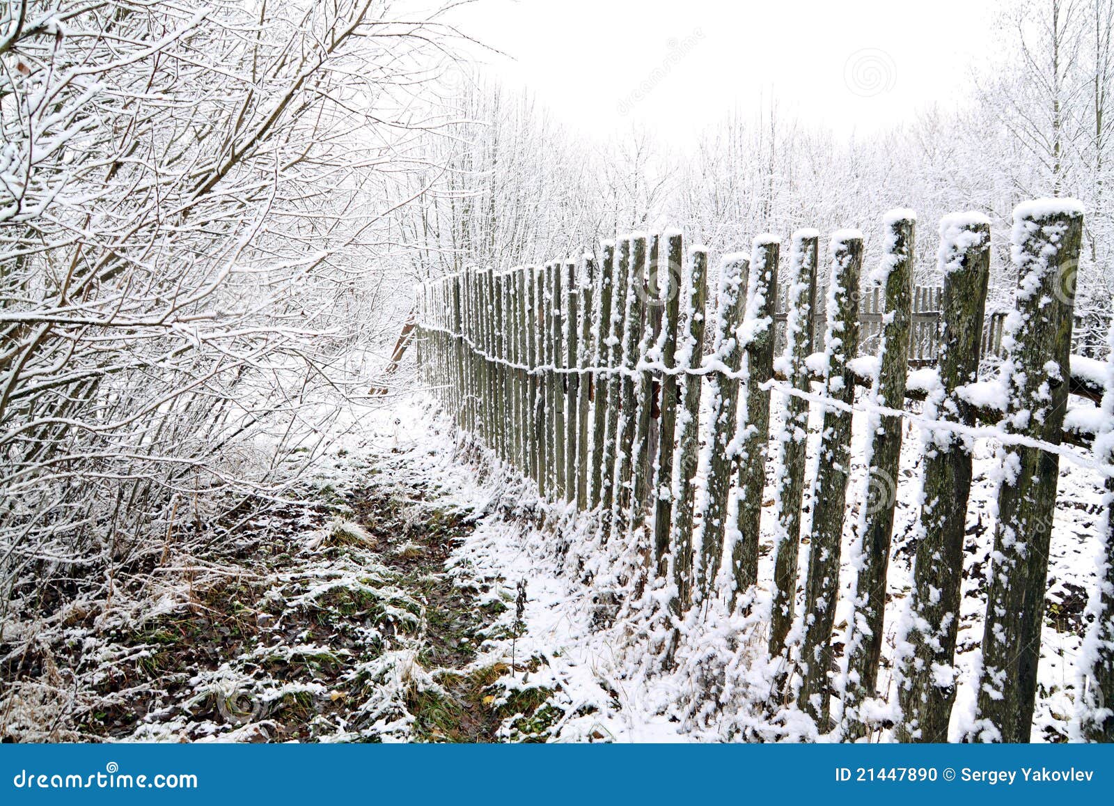 Old fence stock photo. Image of agriculture, chill, enclosure - 21447890