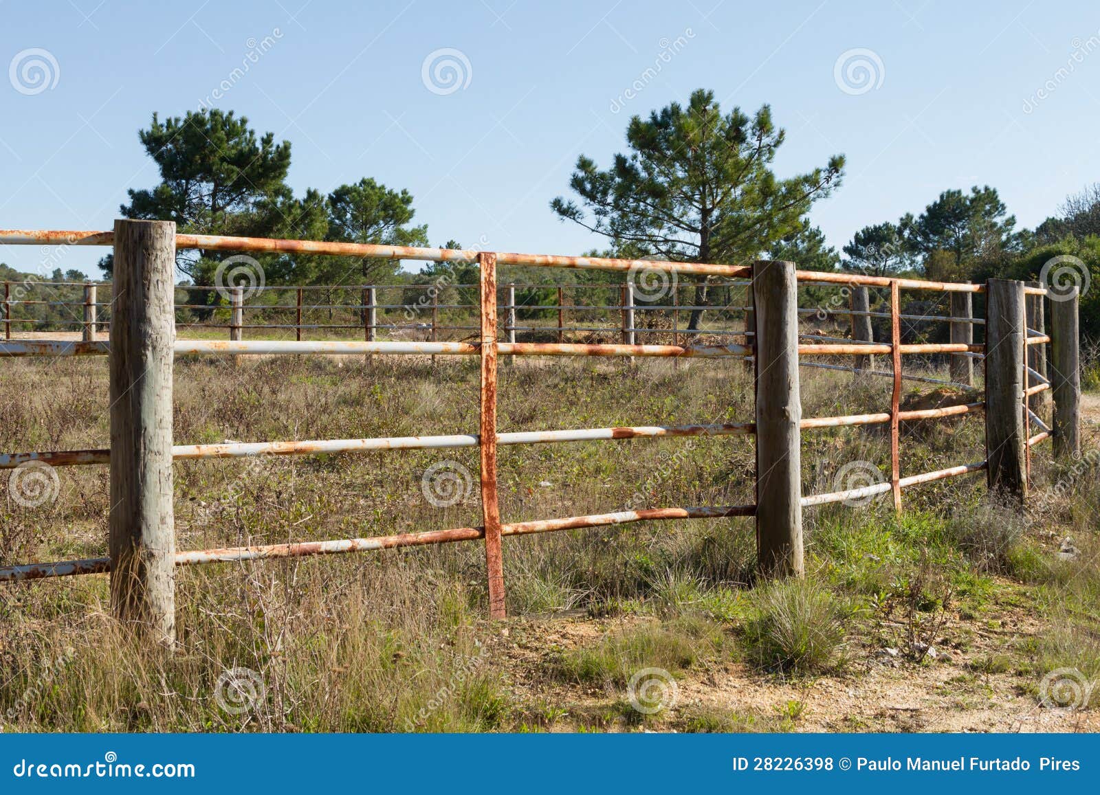 Old Fence stock photo. Image of natural, tree, wood, plant - 28226398