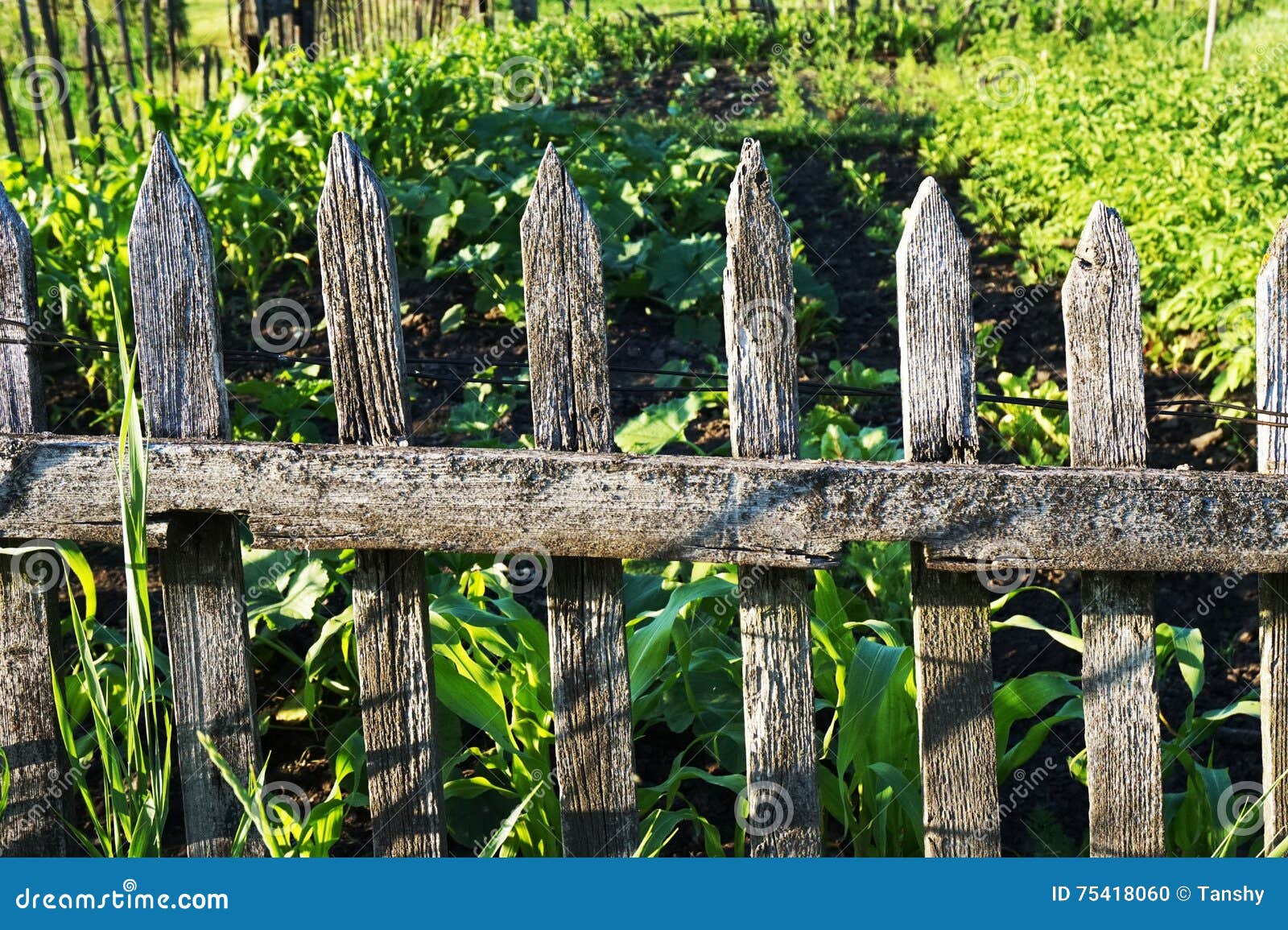 Old Fence and Grass Background Stock Photo - Image of construction ...