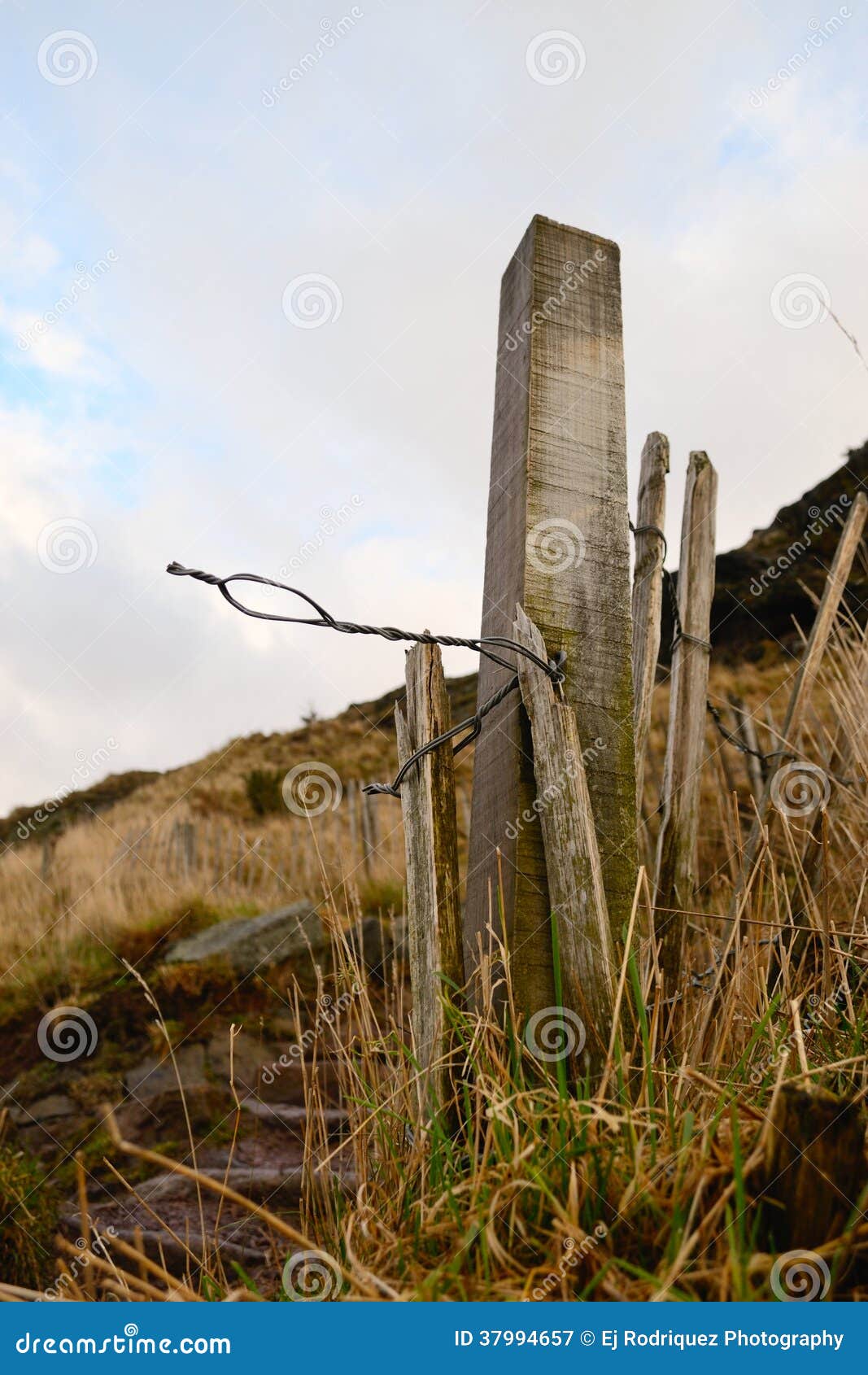 The old fence line. stock image. Image of rock, scotland - 37994657