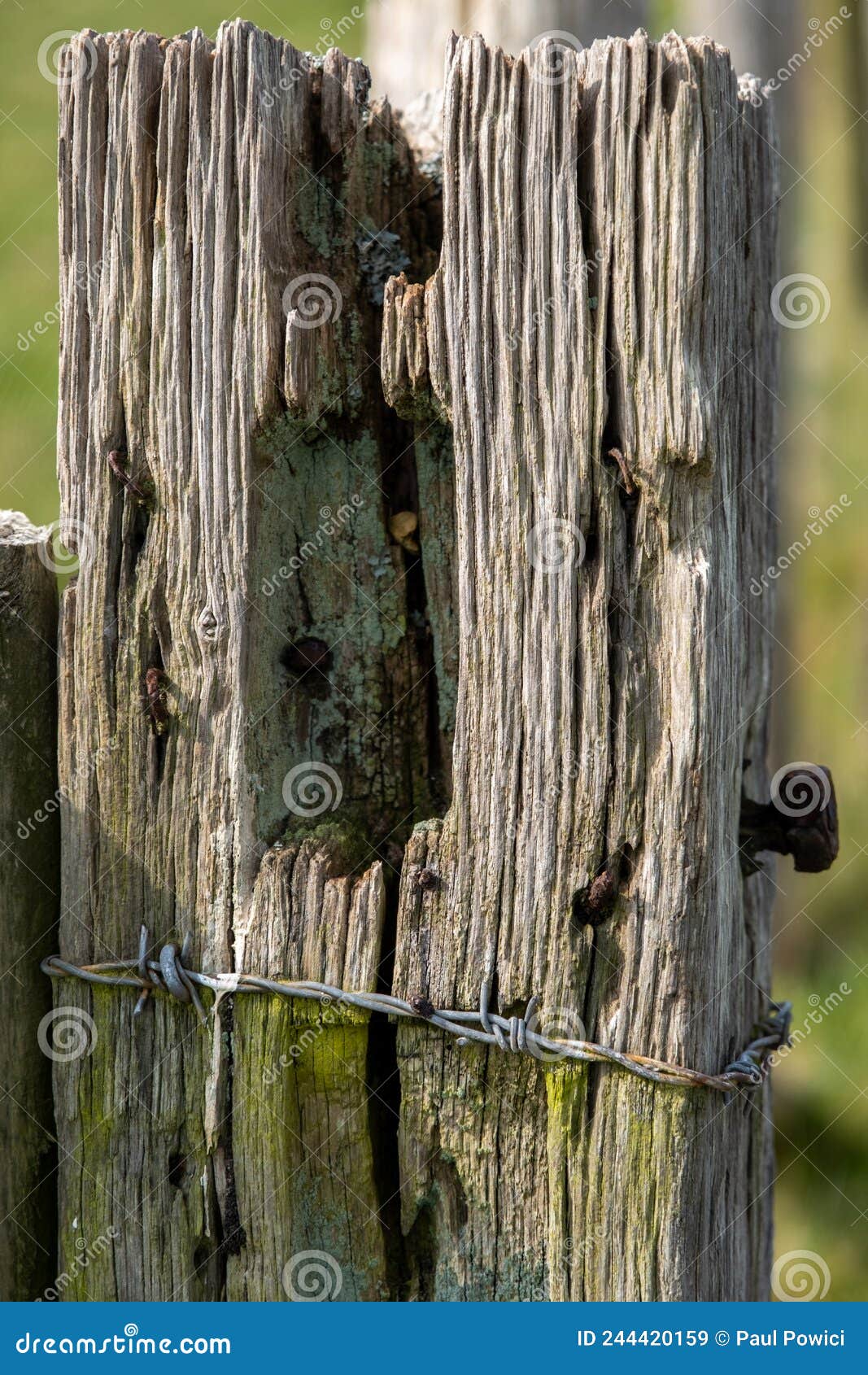 Old Fence Post and Barbed Wire Stock Image - Image of morning, aged ...