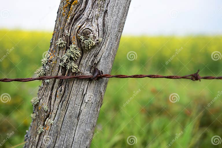 Old Fence Post and Barbed Wire Stock Image - Image of barbwire, aged ...