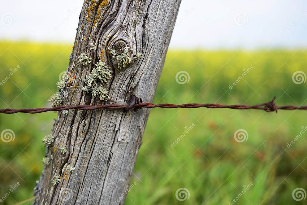 Old Fence Post and Barbed Wire Stock Image - Image of barbwire, aged ...