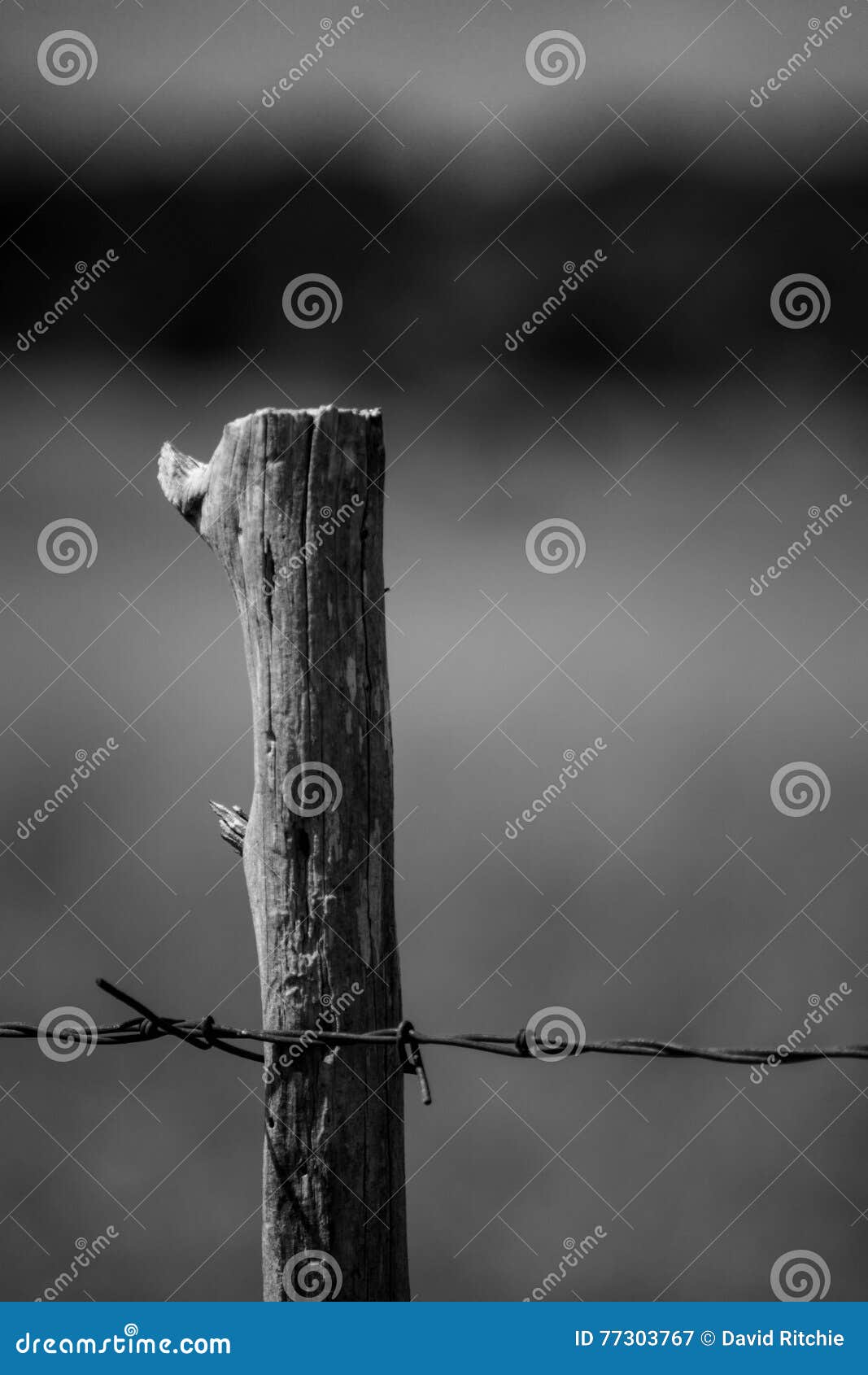 Old Fence Post in Black and White Stock Image - Image of texas, rusty ...