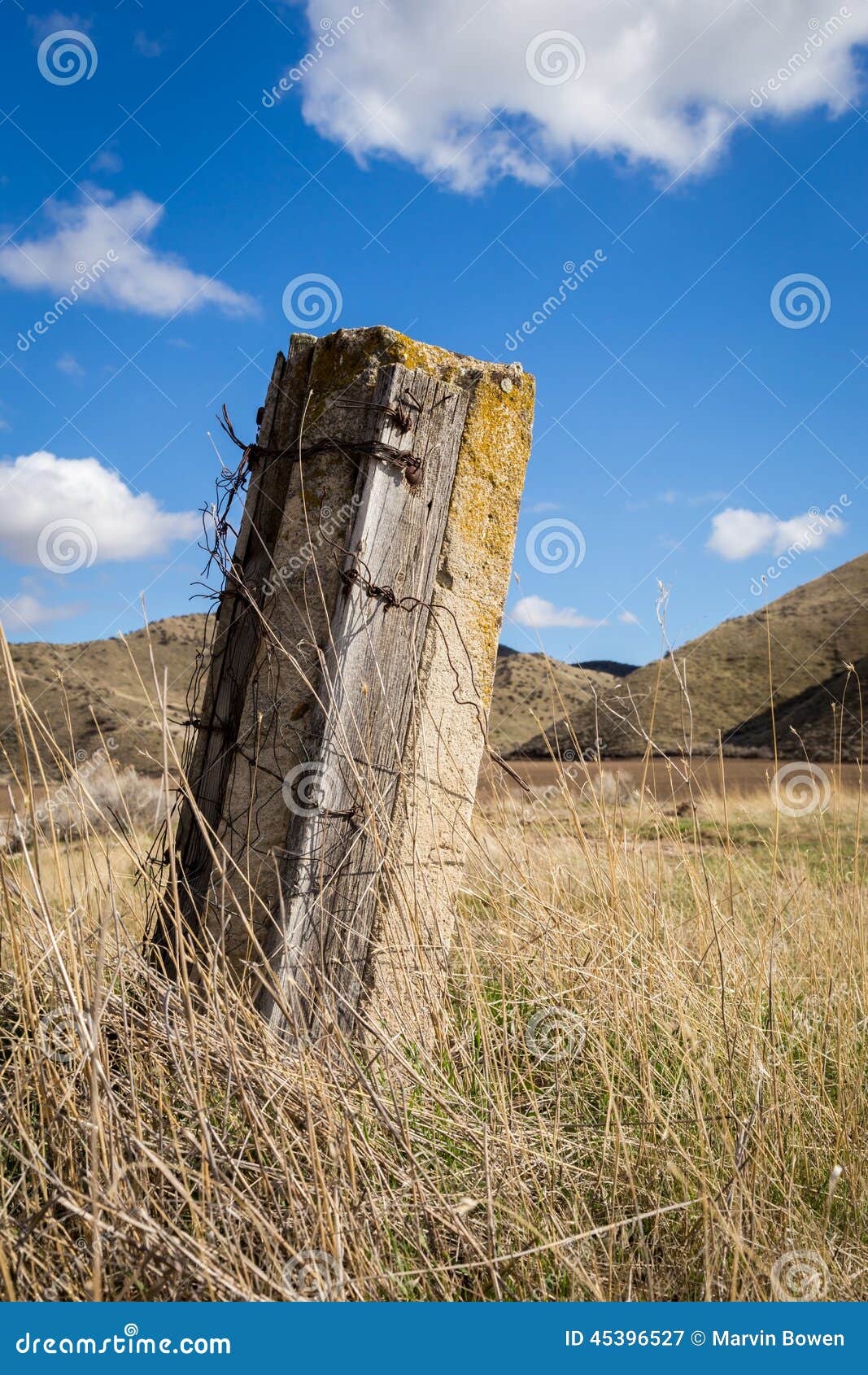 An Old Fence Post in Tall Grass Stock Image - Image of farm ...