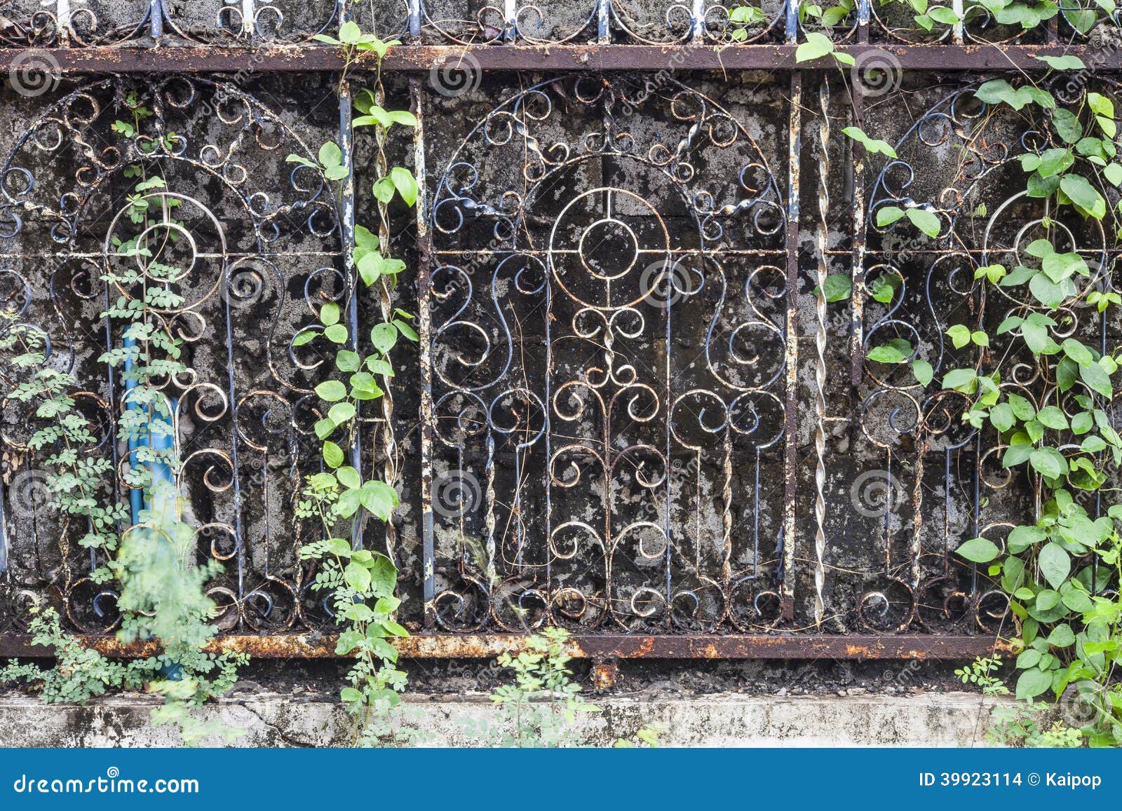 Old Fence with Rust and Moss Stock Photo - Image of chainlink, abstract ...