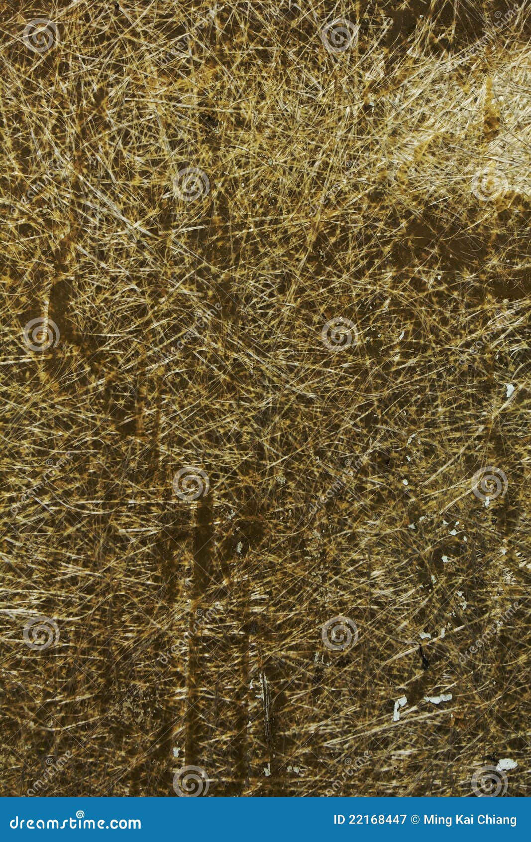 Old fiberglass stock image. Image of window, white, fiber - 22168447