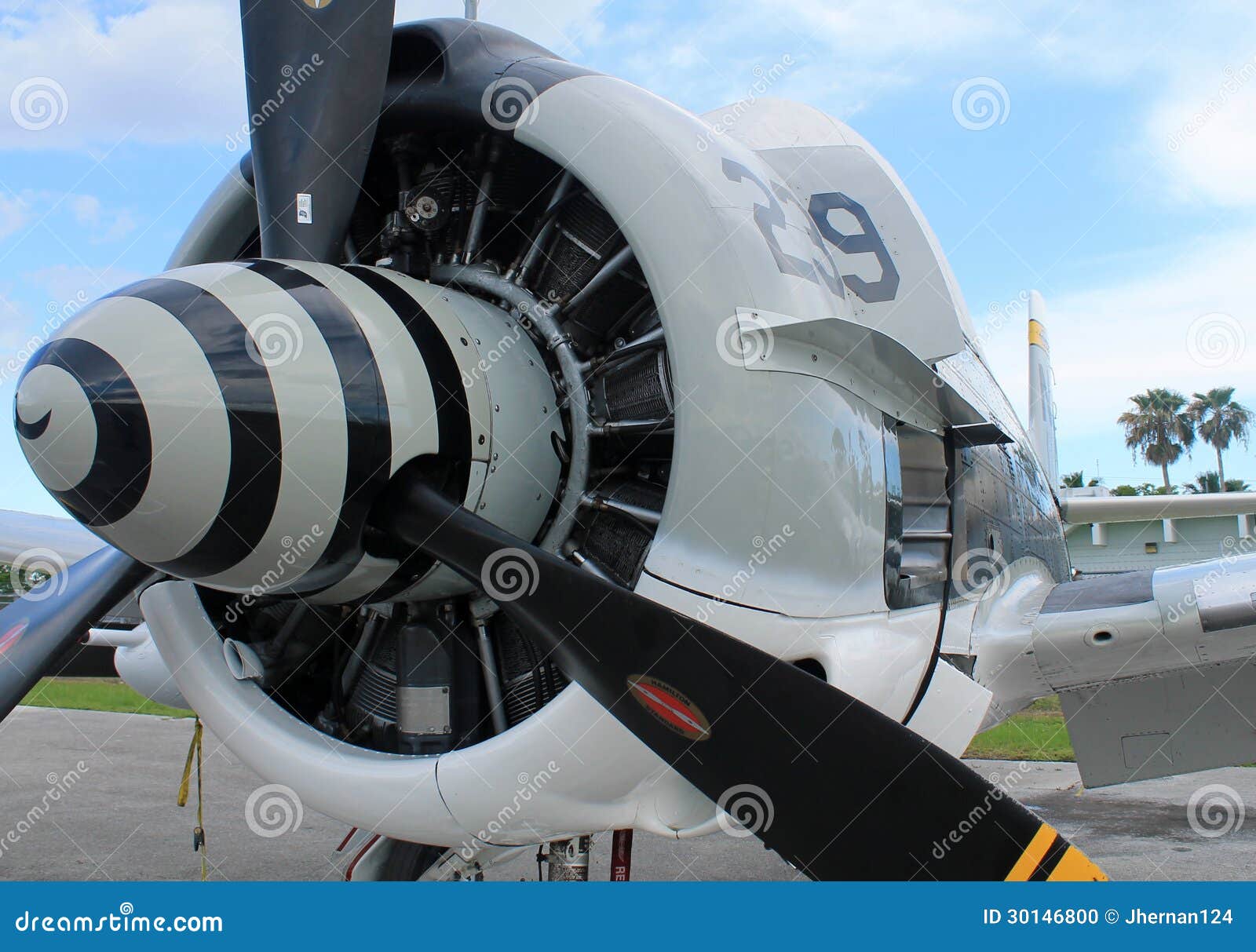 Old fighter plane engine editorial image. Image of paint - 30146800