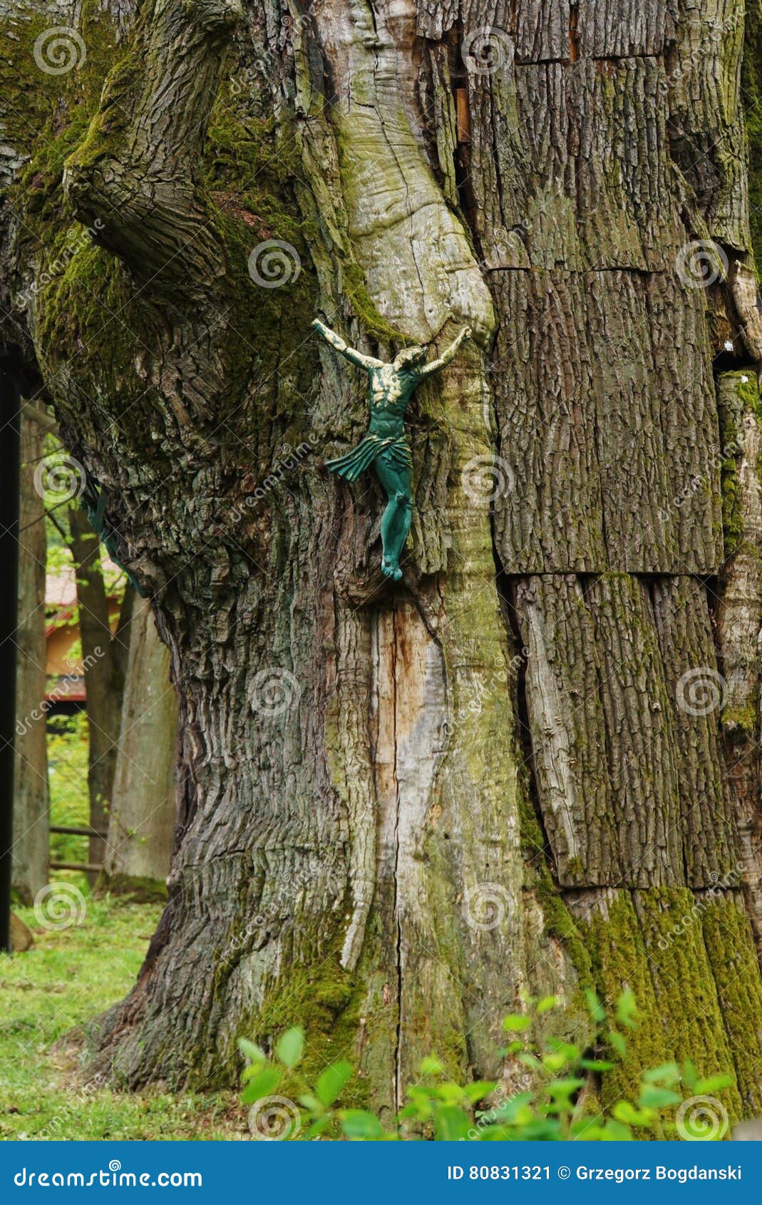 Old Figure Of Jesus On A Tree Royalty-Free Stock Photography ...