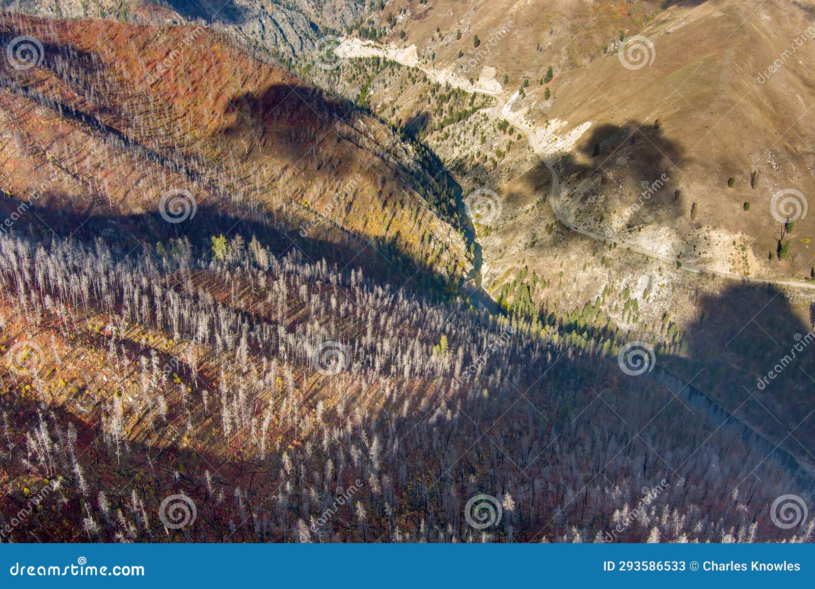 Old Fire Burn Area with Road and River Winding through Stock Image ...