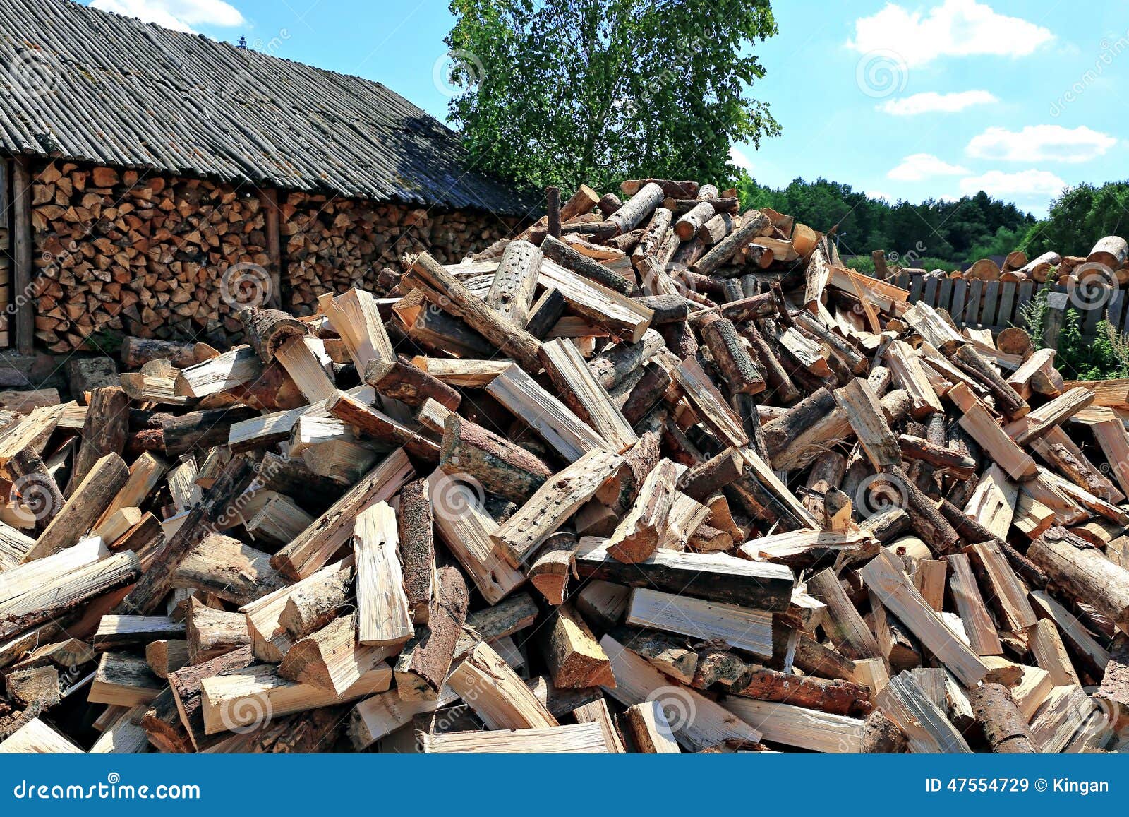 Old Firewood Shed and a Lot of Chopped Logs Stock Image - Image of ...