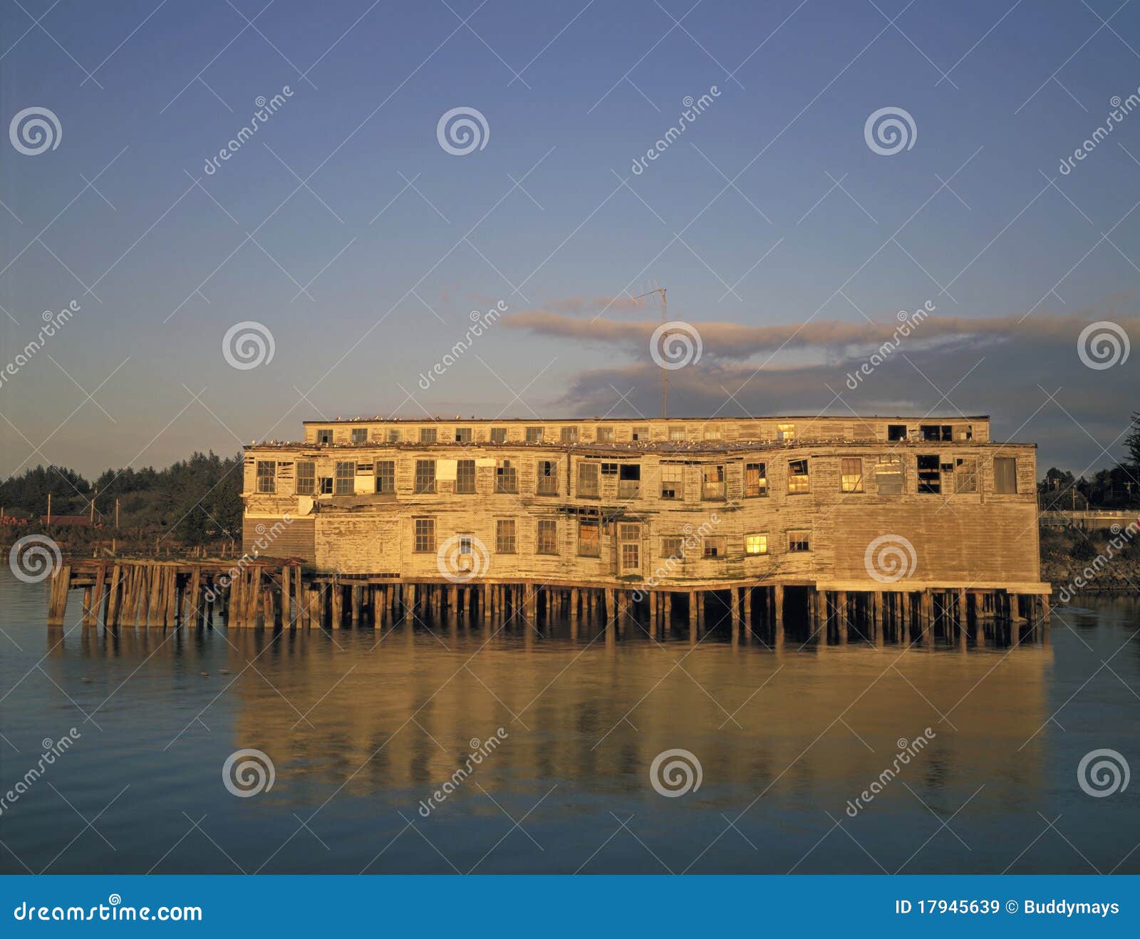 Old fish cannery stock image. Image of natural, rundown - 17945639