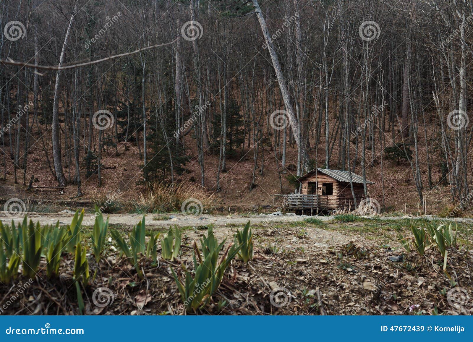 Old fishing hut stock image. Image of real, foliage, idyllic - 47672439