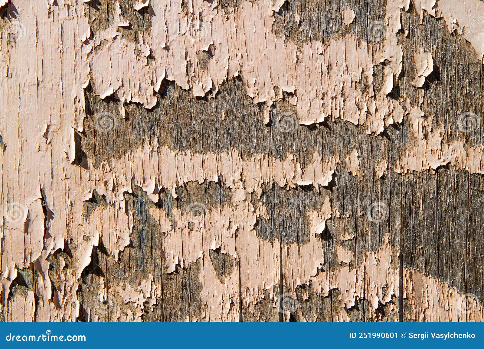 Old Flaky Paint on a Wooden Surface. Stock Image - Image of plank ...