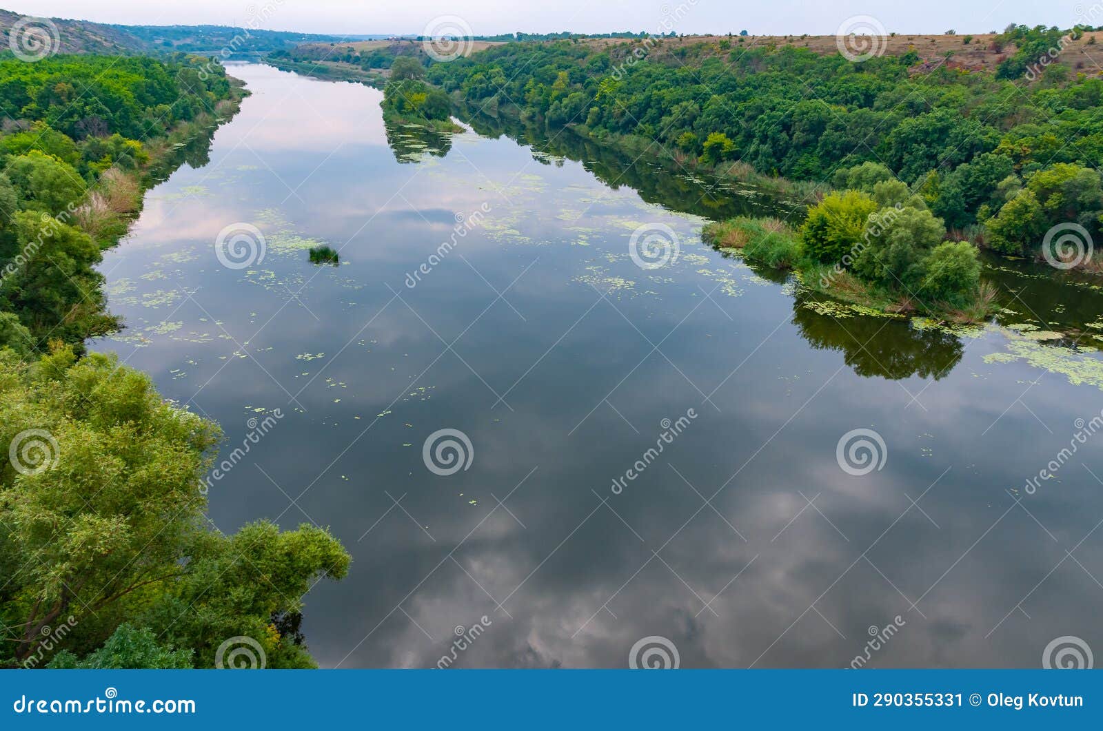 Old Floodplain Forest Along the Banks of the Southern Bug River in a ...