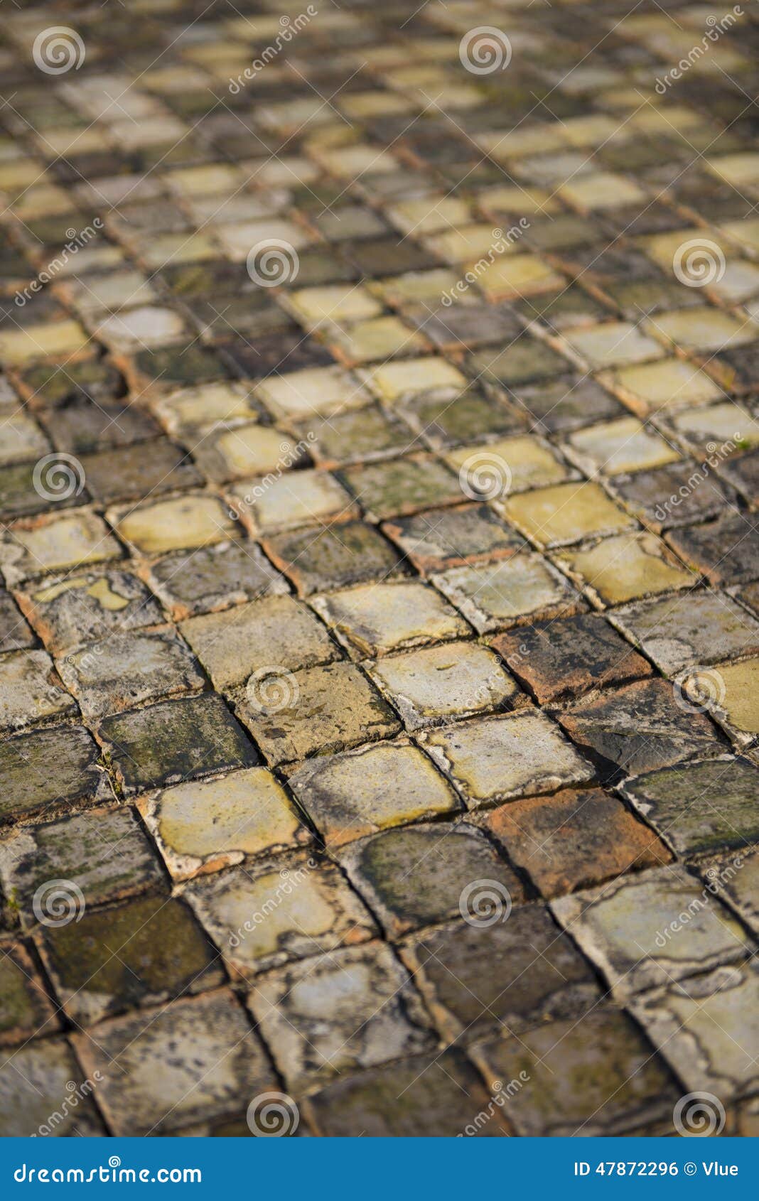 Old Floor Tiles stock photo. Image of glazed, frame, material - 47872296