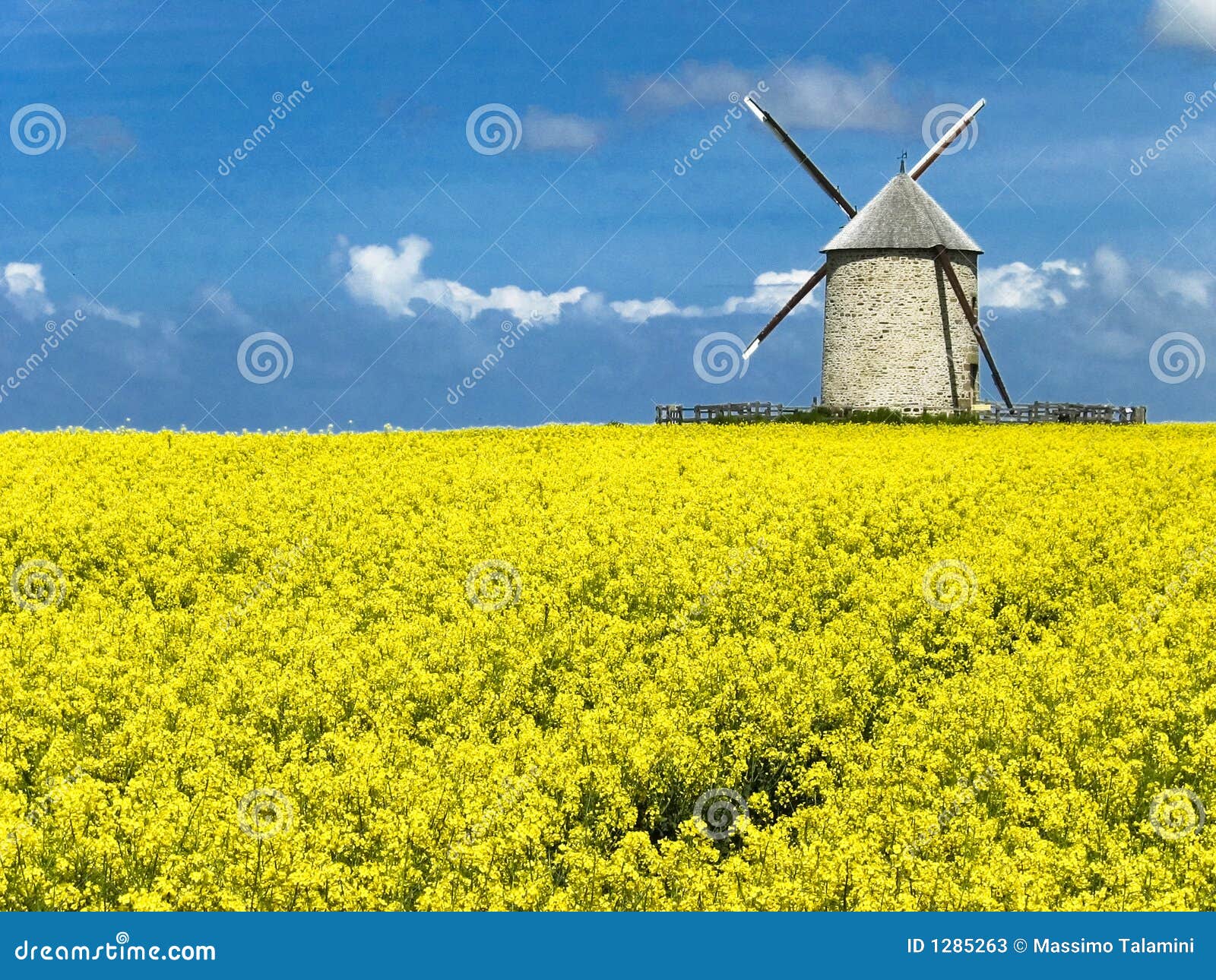 The old flour mill stock image. Image of historic, flowers - 1285263