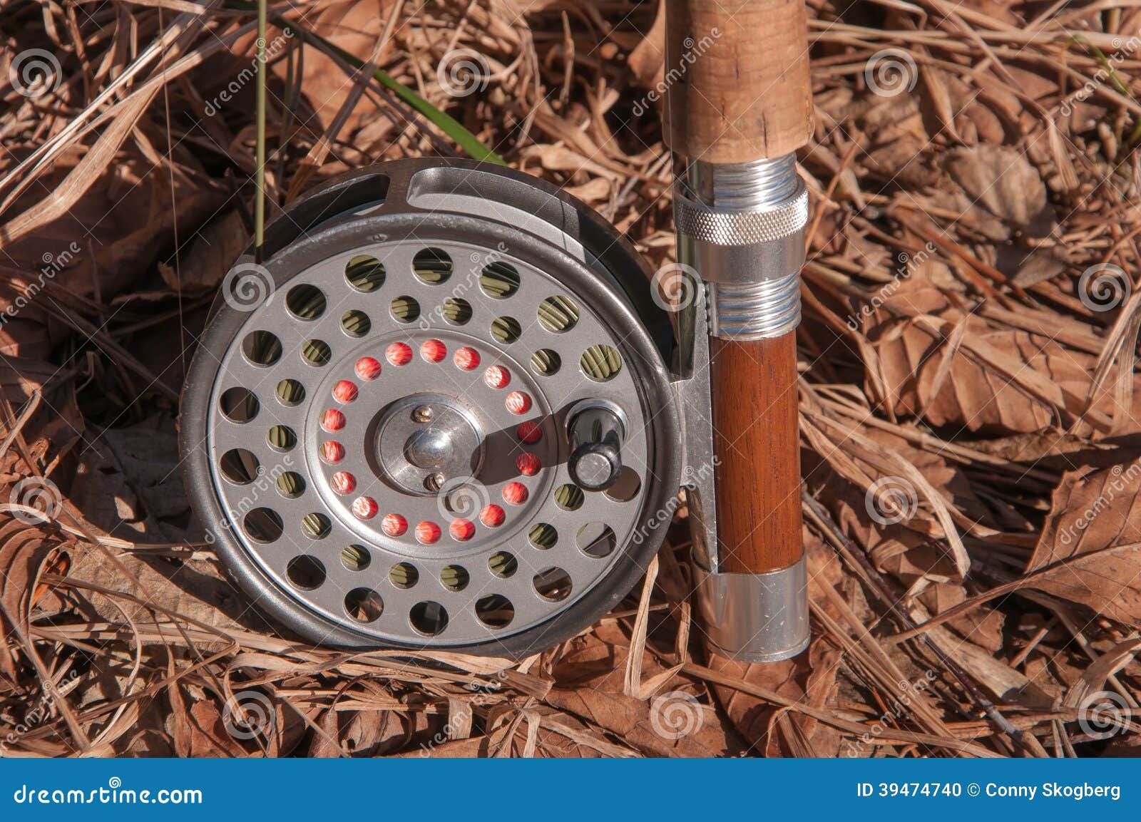 Old fly reel stock photo. Image of reelseat, fishing - 39474740