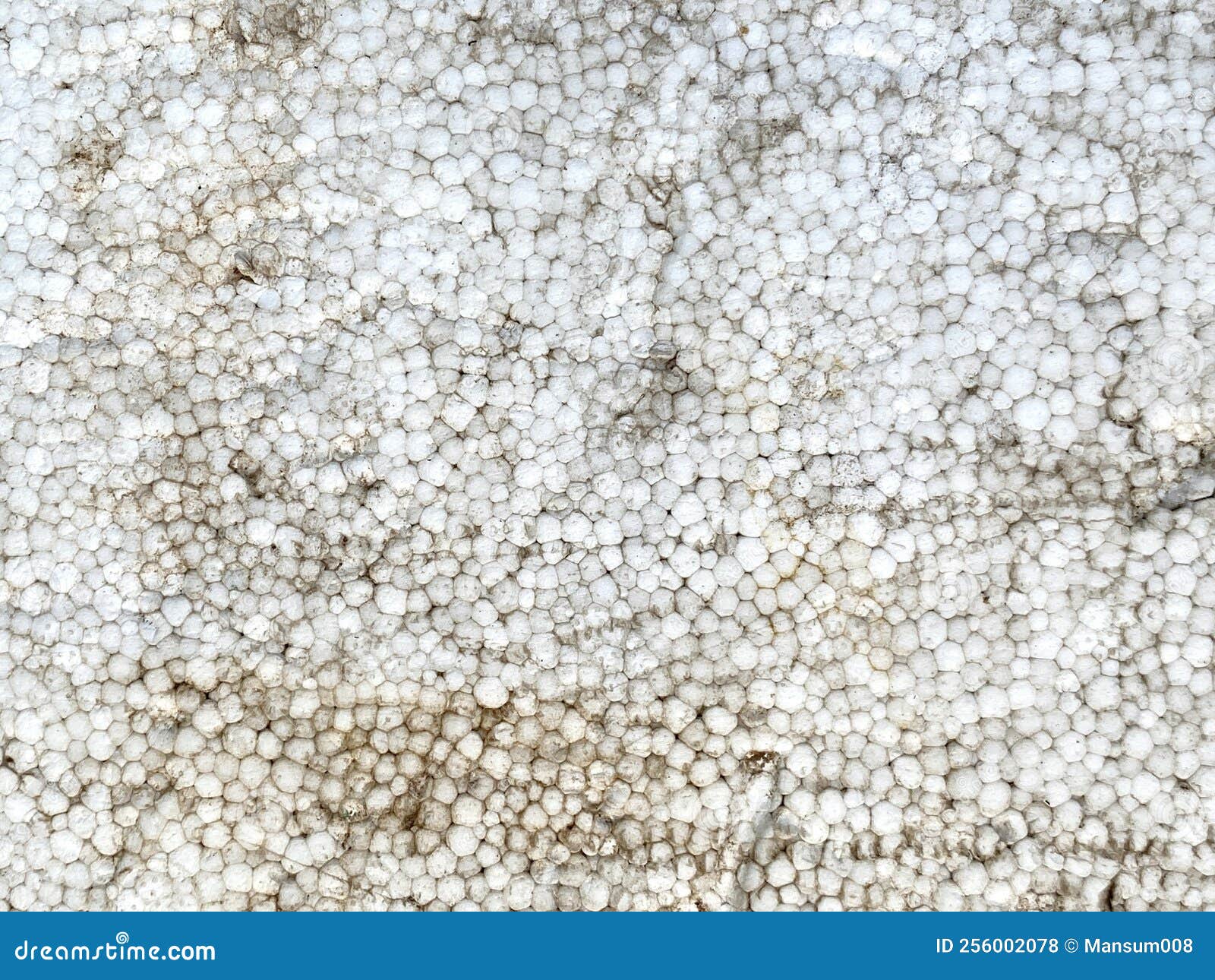 Old foam texture stock photo. Image of natural, backdrop - 256002078