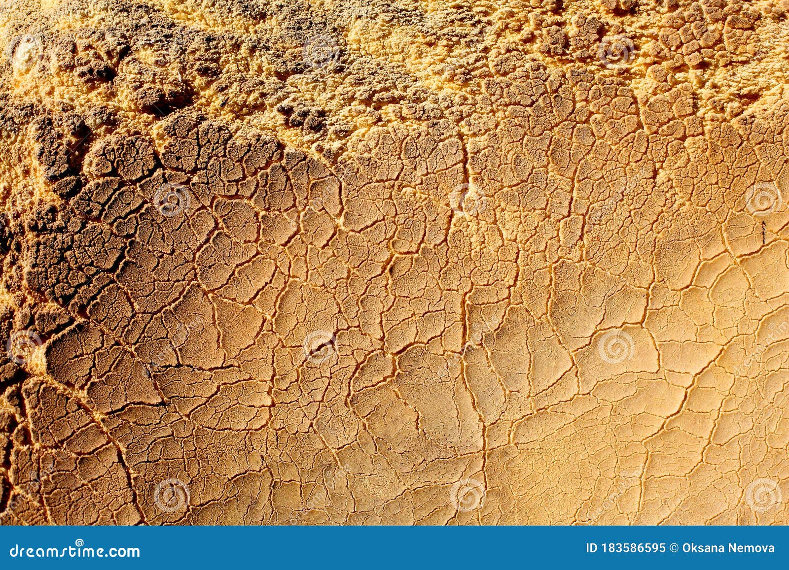 Texture Of Old Decomposed Foam Rubber Royalty-Free Stock Photography ...