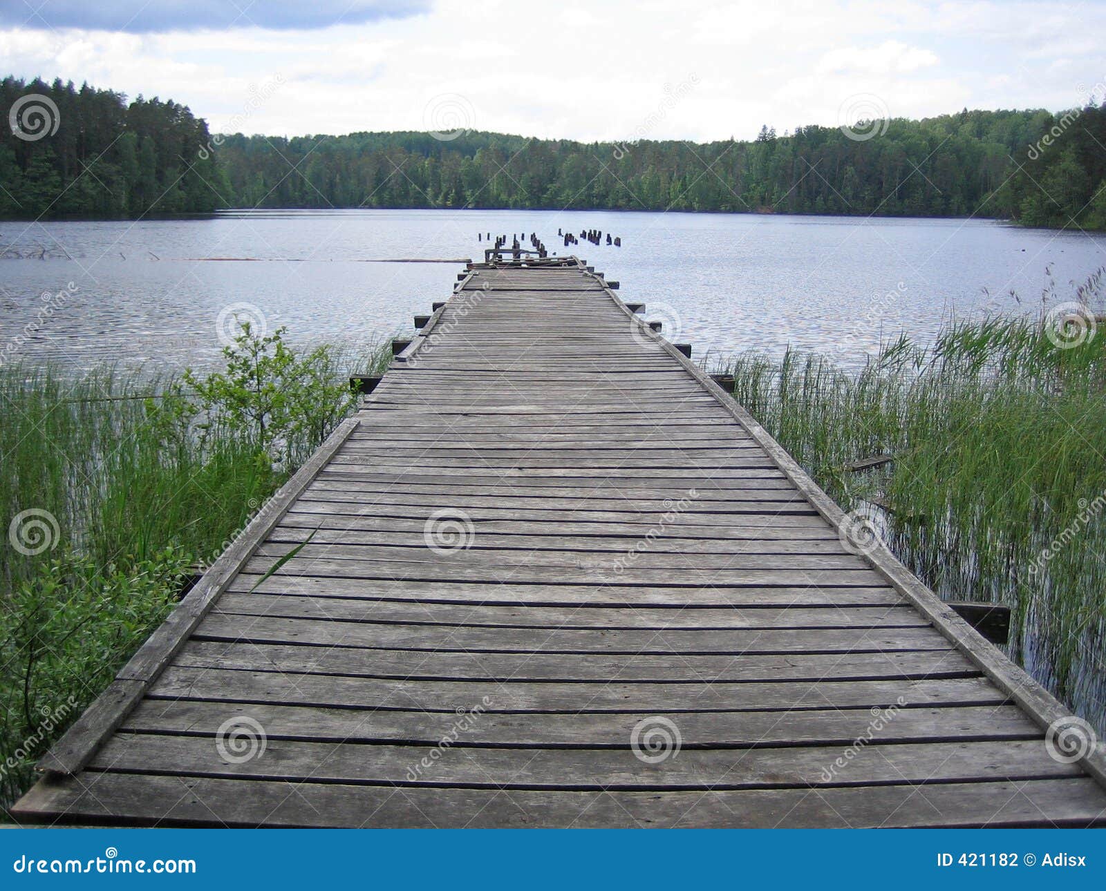 Old foot-bridge stock photo. Image of small, rush, dediduous - 421182