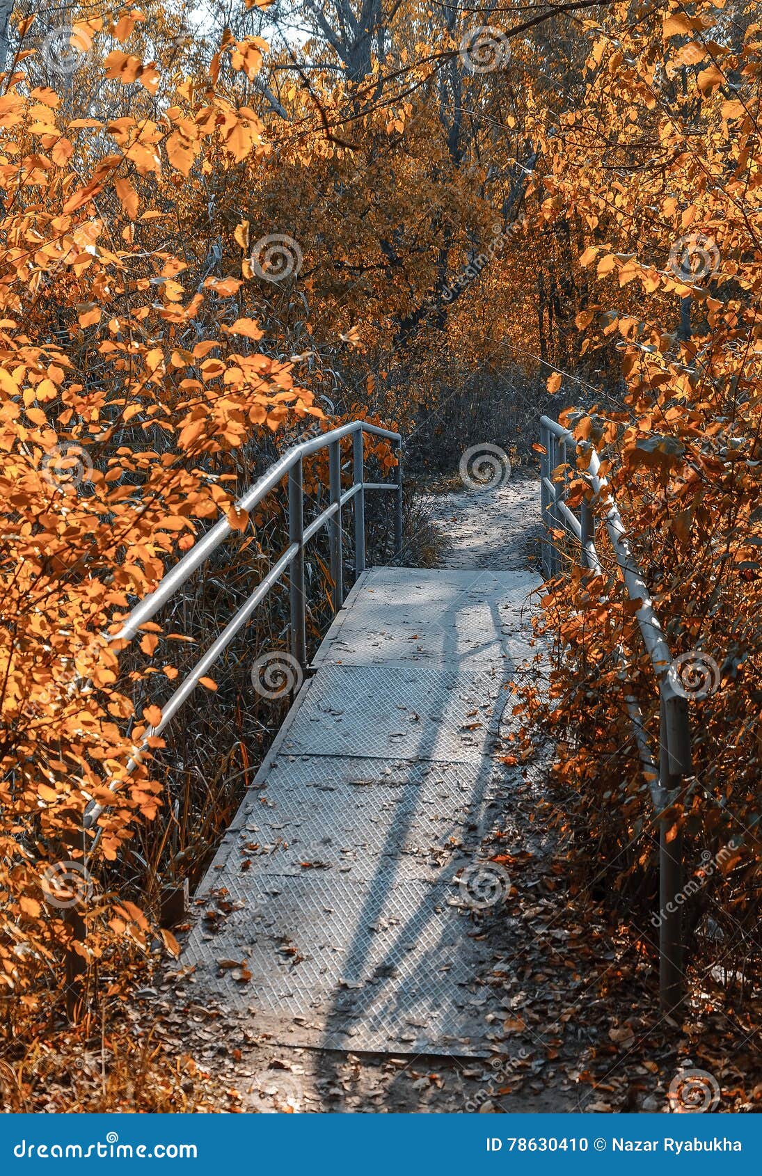 Old Foot Bridge in Autumn Forest Stock Photo - Image of autumn ...