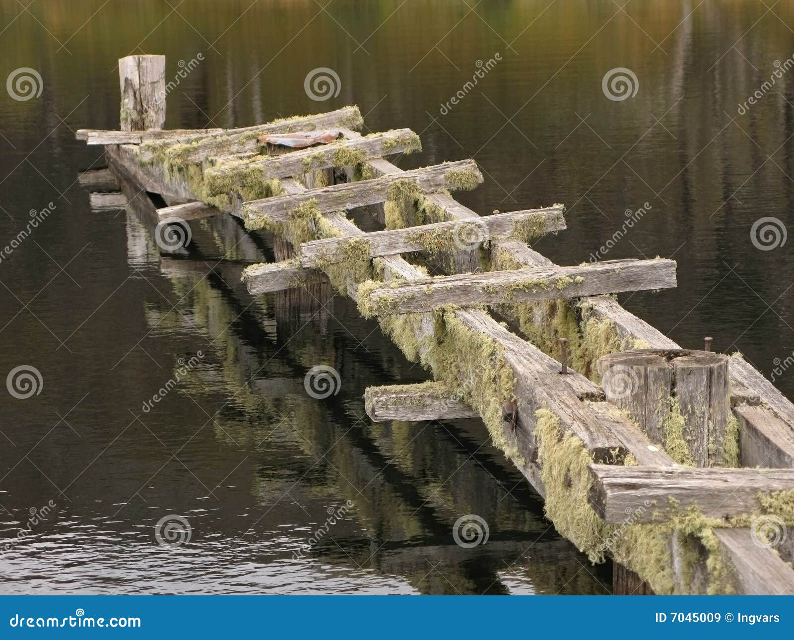 Old footbridge on lake stock image. Image of pillars, fallen - 7045009