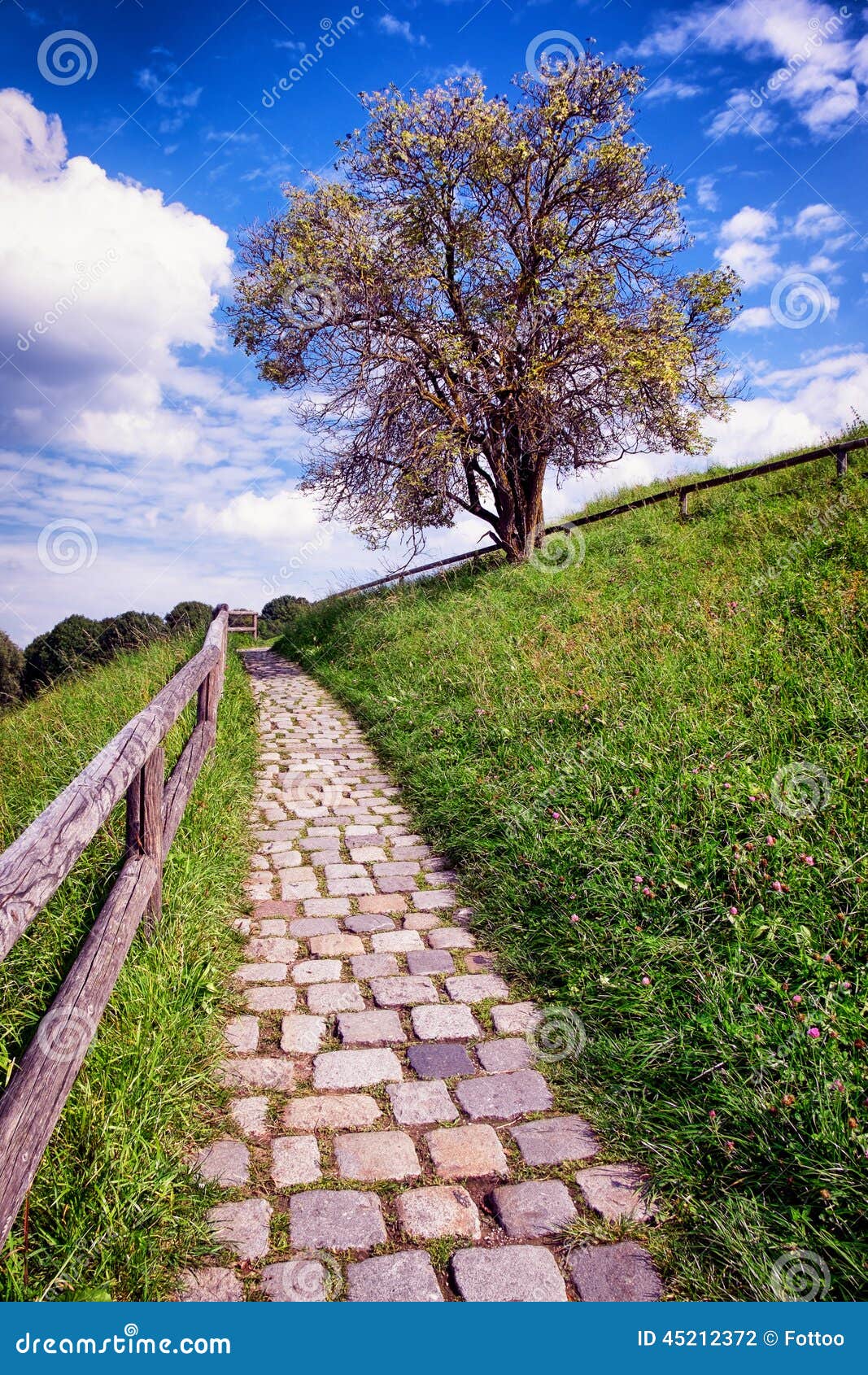 Old footpath stock photo. Image of curve, garden, nature - 45212372