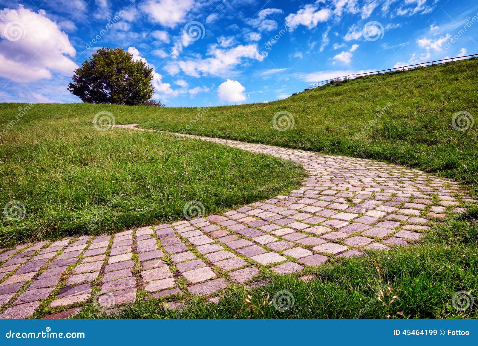 Old footpath stock image. Image of tree, landscape, sunlight - 45464199