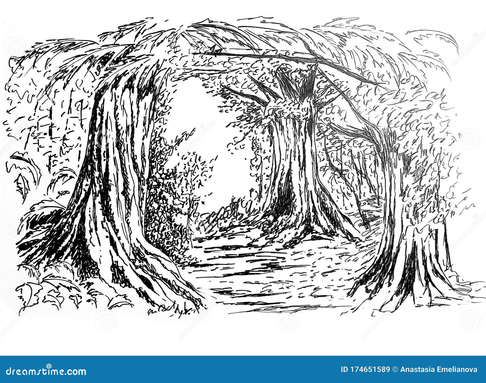 Forest Illustration Ink