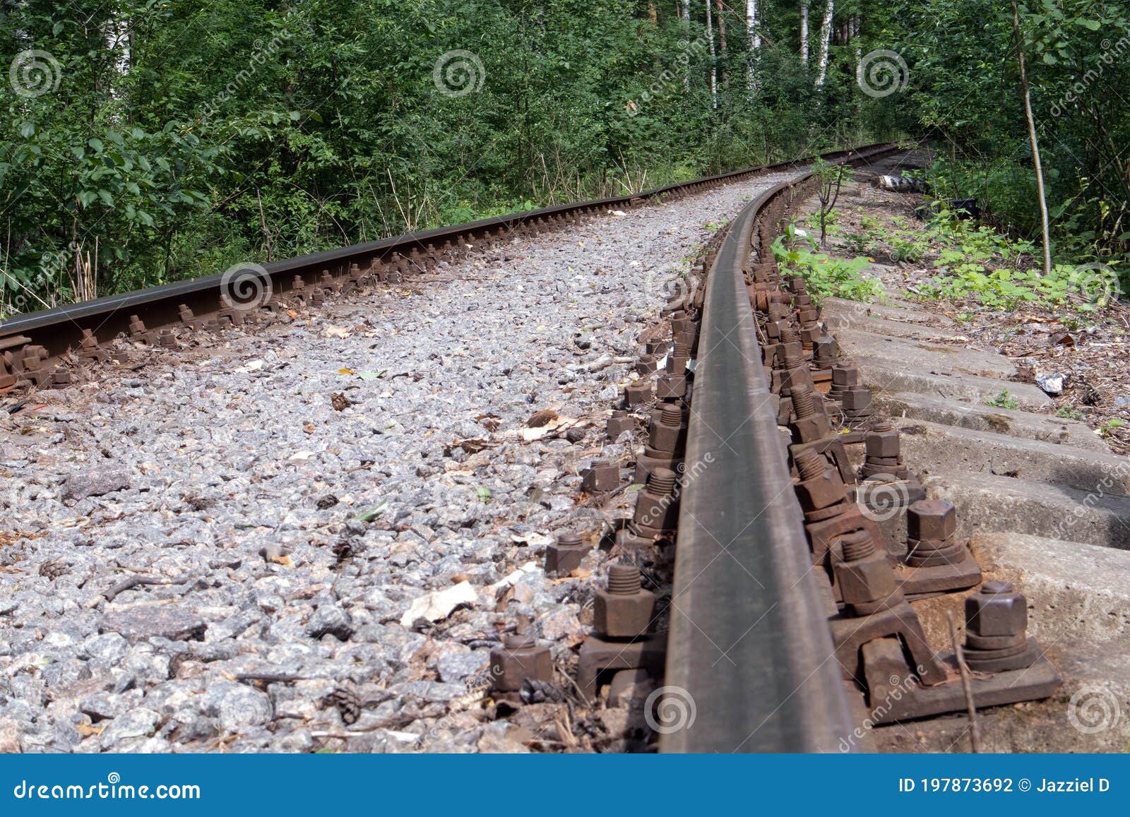 Old Forest Railway Track with Rusty Rails Stock Photo - Image of forest ...