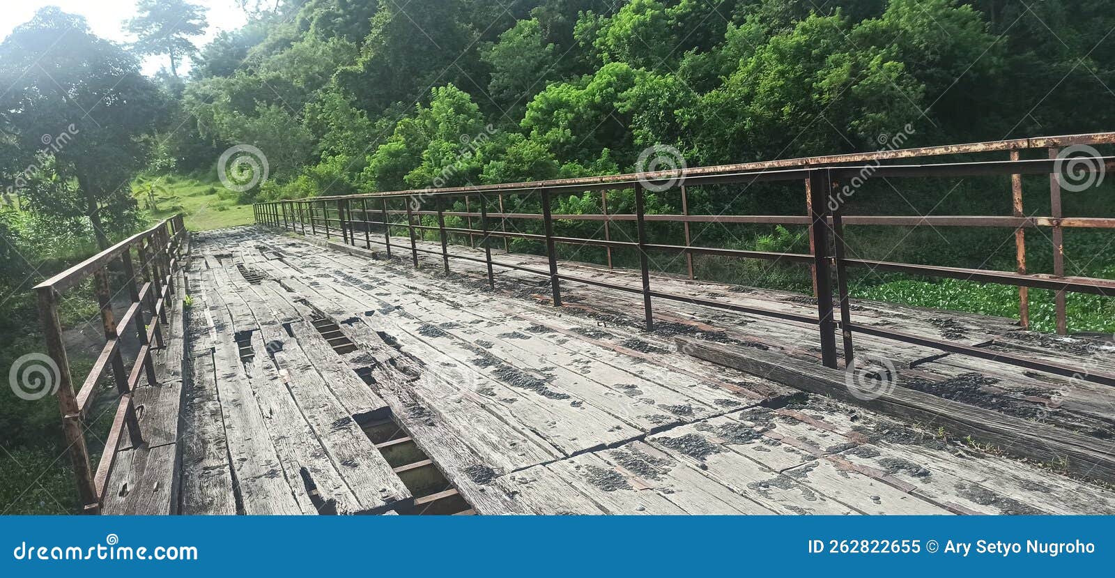 The old forgotten bridge stock image. Image of railway - 262822655