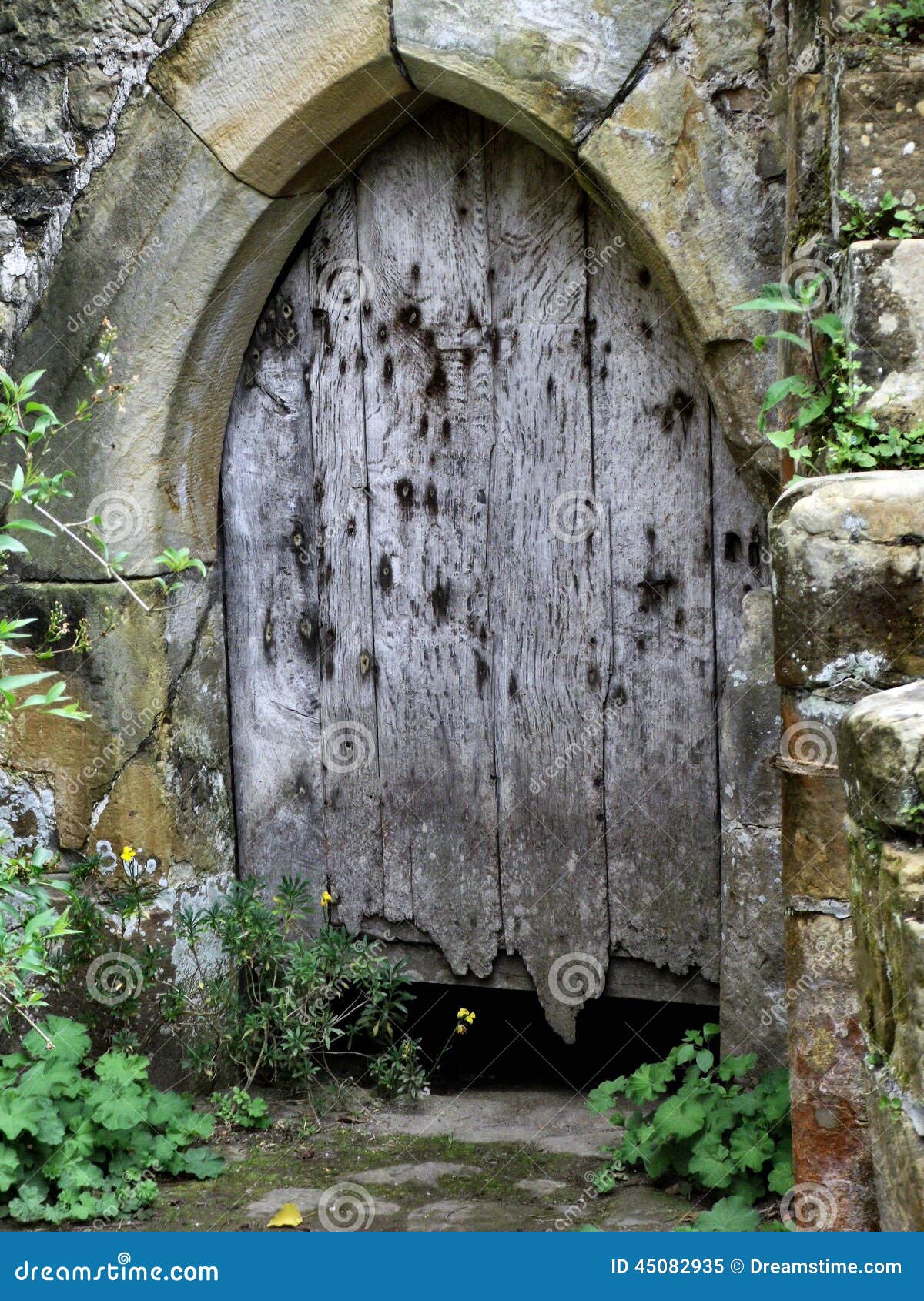 The old forgotten door stock image. Image of rotten, castle - 45082935