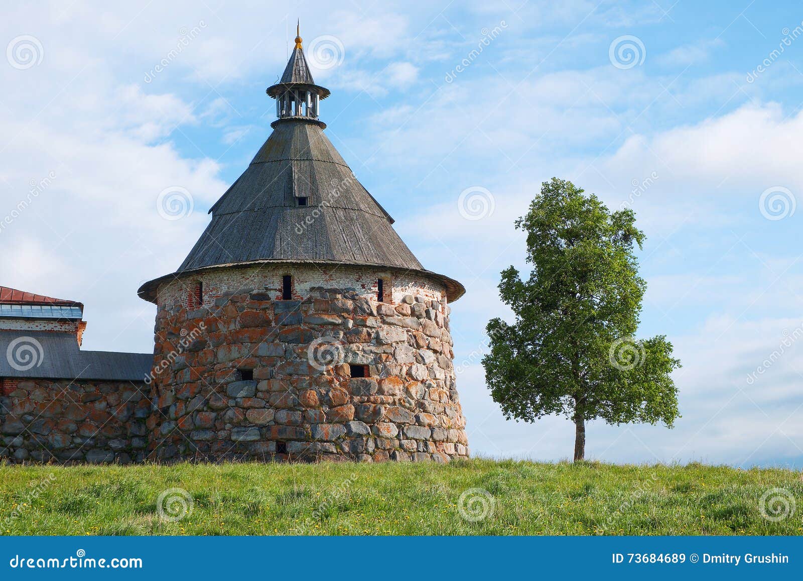 Old Fortress Tower and Tree Stock Image - Image of exterior, defense ...