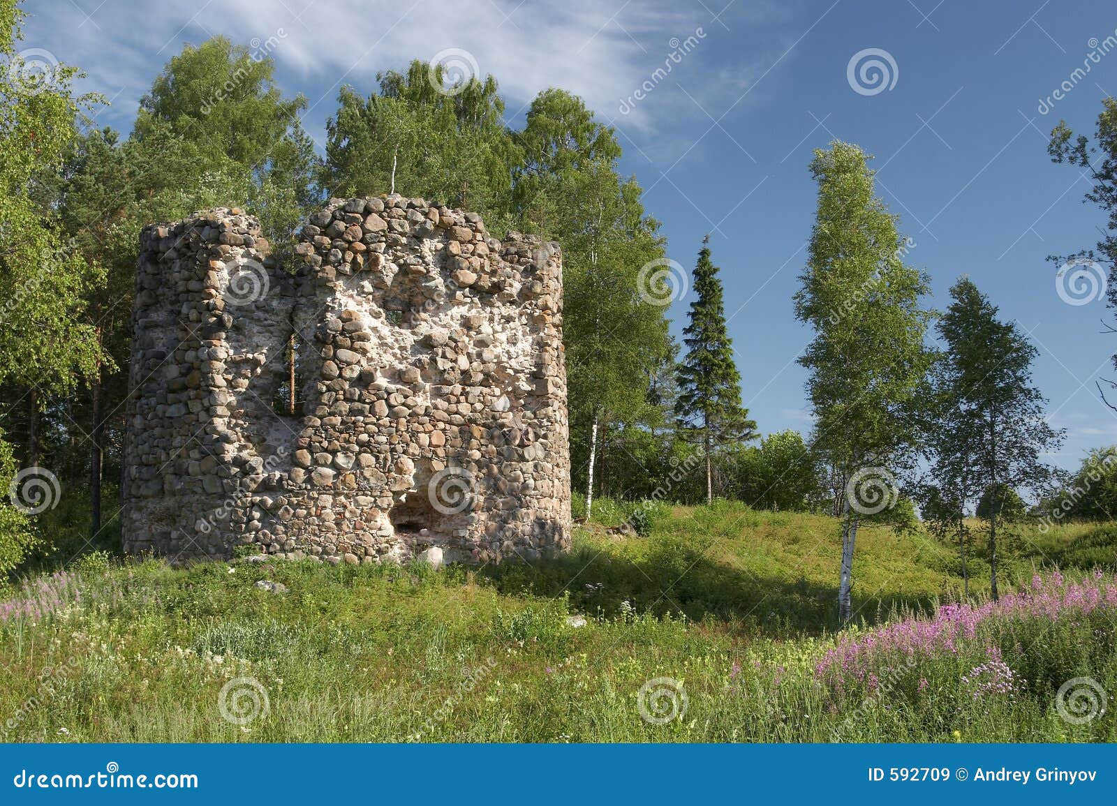 Old fortress and tree stock image. Image of bent, excavated - 592709