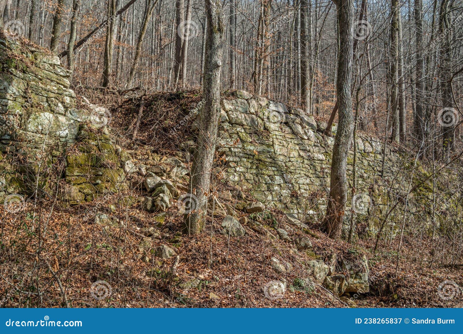 Stone wall in the forest stock image. Image of outdoor - 238265837