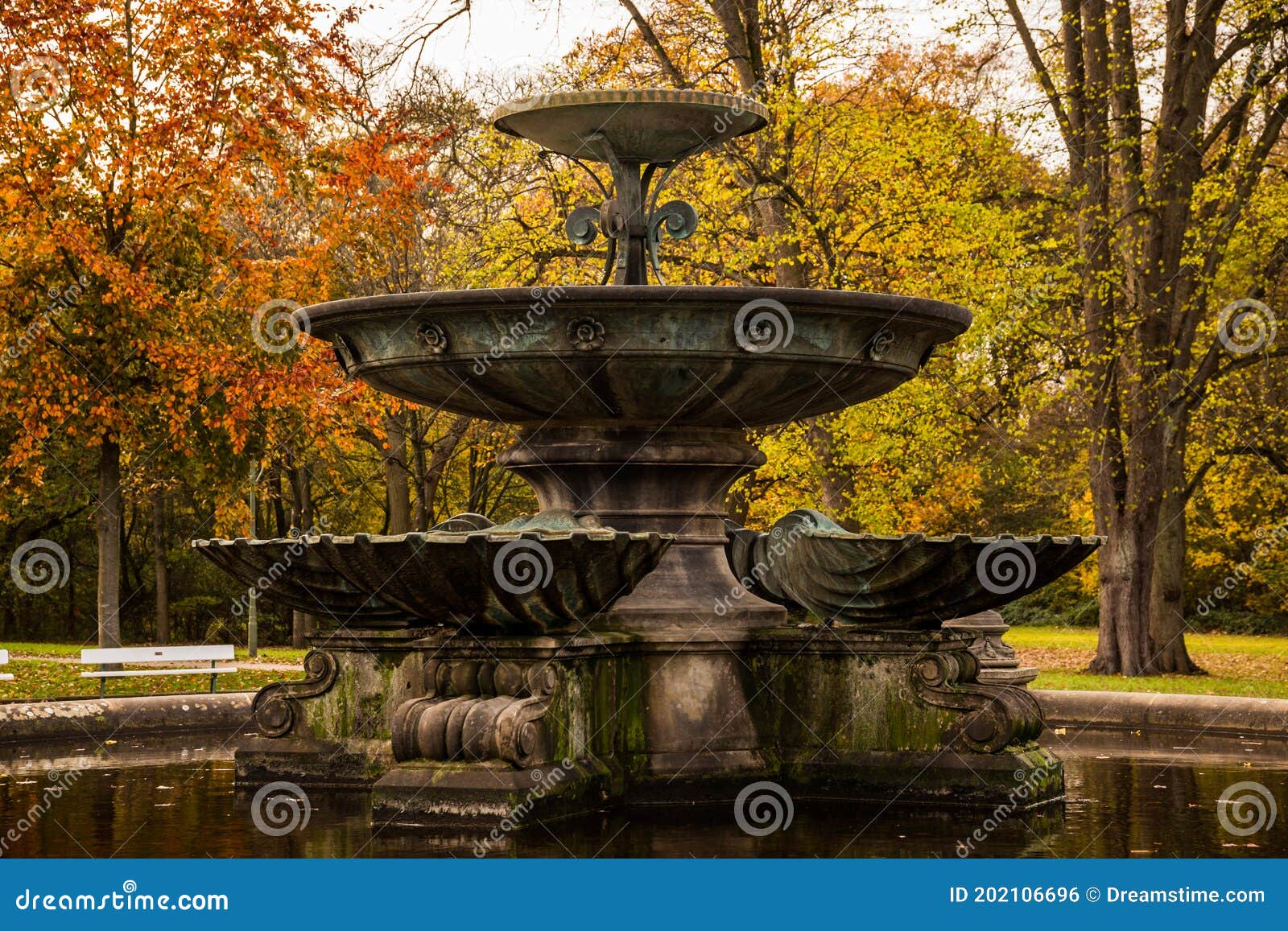 Old fountain stock photo. Image of leaves, flower, plant - 202106696