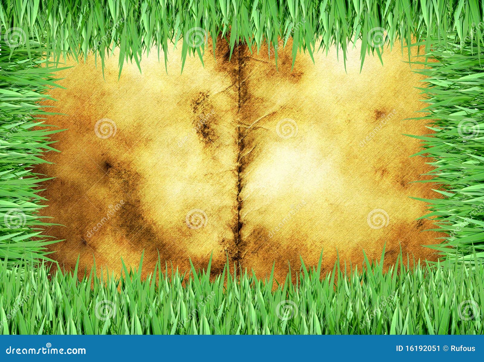 Old Foxed Piece of Paper with Green Grass Blade Stock Image - Image of ...