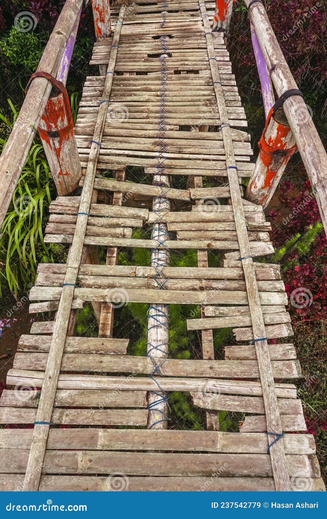 An Old Fragile Bamboo Bridge with Holes in the Background of the Plants ...