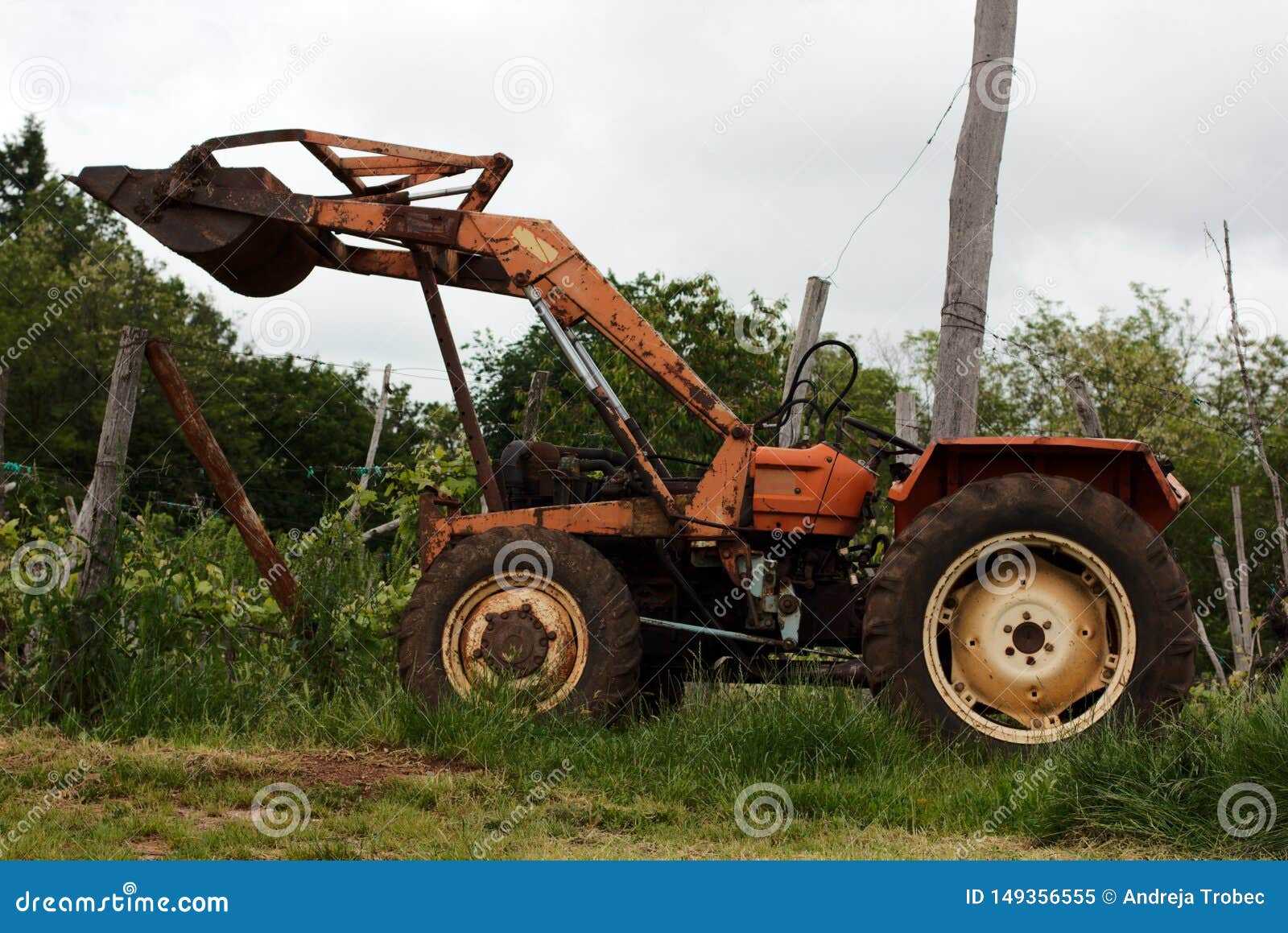 Old Frontloader Tractor in the Vineyard Stock Image - Image of loader ...